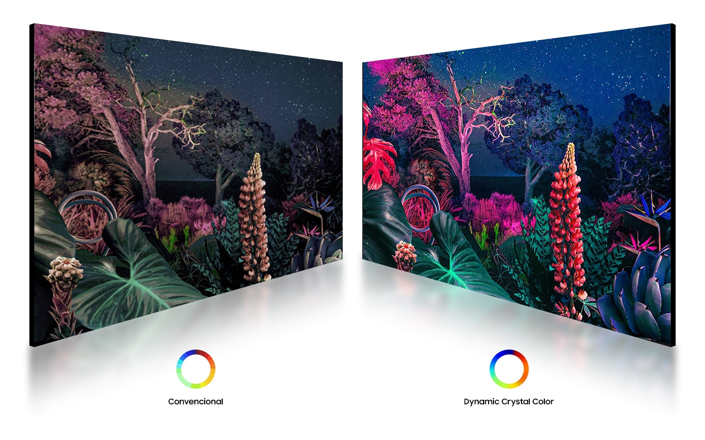 Pantalla Samsung LED 43" Smart UHD 4K Signage QM43R