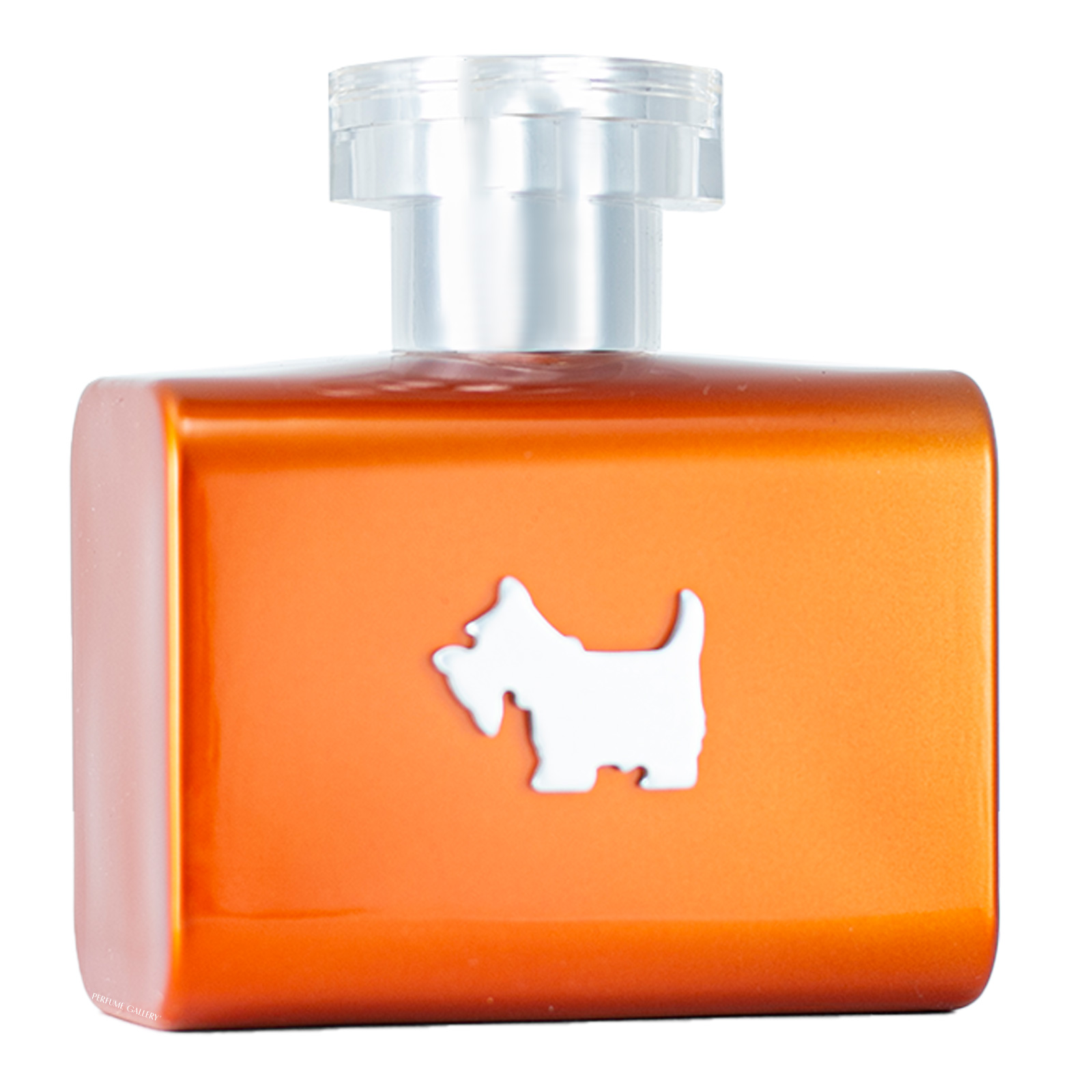 FERRIONI ORANGE TERRIER EDT 100 ML.