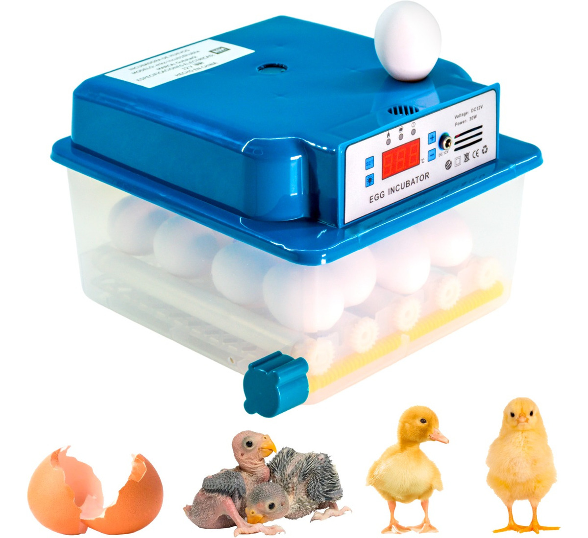 Incubadora Automatica Pollos 16 Huevos Ovoscopio Aves