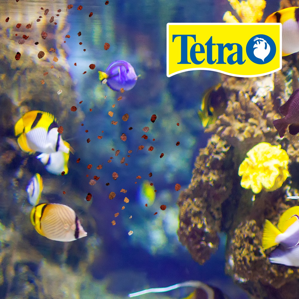 Tetra Tetracolor Tropical Granules Alimento para Peces con 75 Gramos