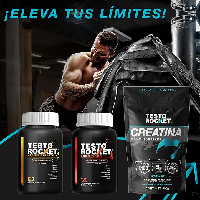 Creatina Monohidratada de Alta Pureza en Polvo - 500g | Creatina Testo ...