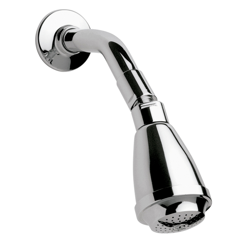 PROYECTA REGADERA C/BRAZO Y CHAPETON CROMO INTEGRA