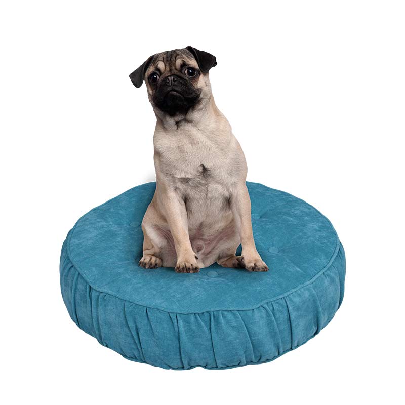 PUFF PET PARA MASCOTA COLOR TURQUESA - ENTREGA ÚNICAMENTE EN CDMX ...