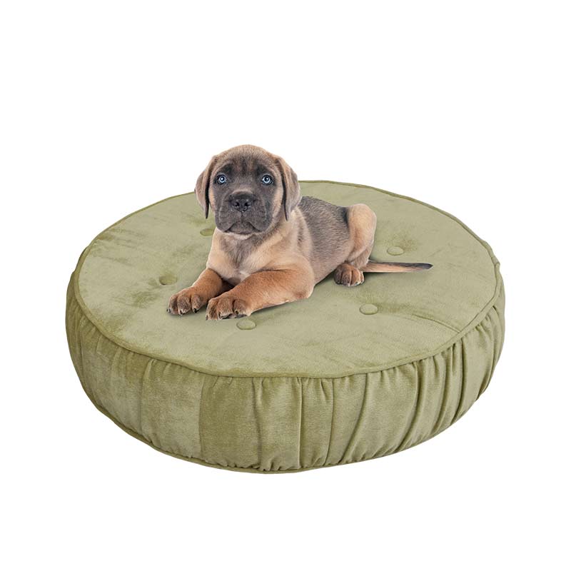 PUFF PET PARA MASCOTA COLOR PISTACHE - ENTREGA ÚNICAMENTE EN CDMX ...