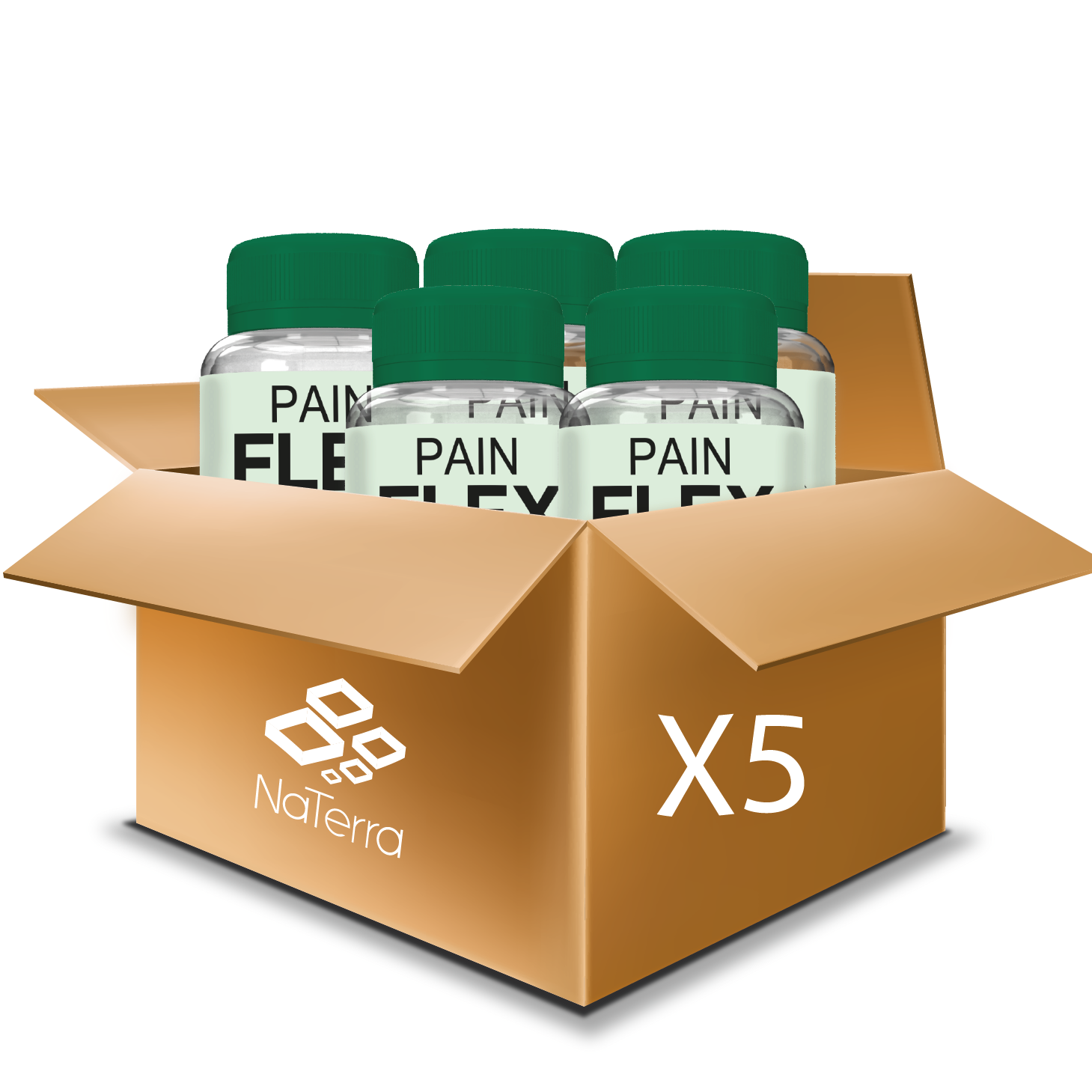 Kit 5 Painflex NaTerra.