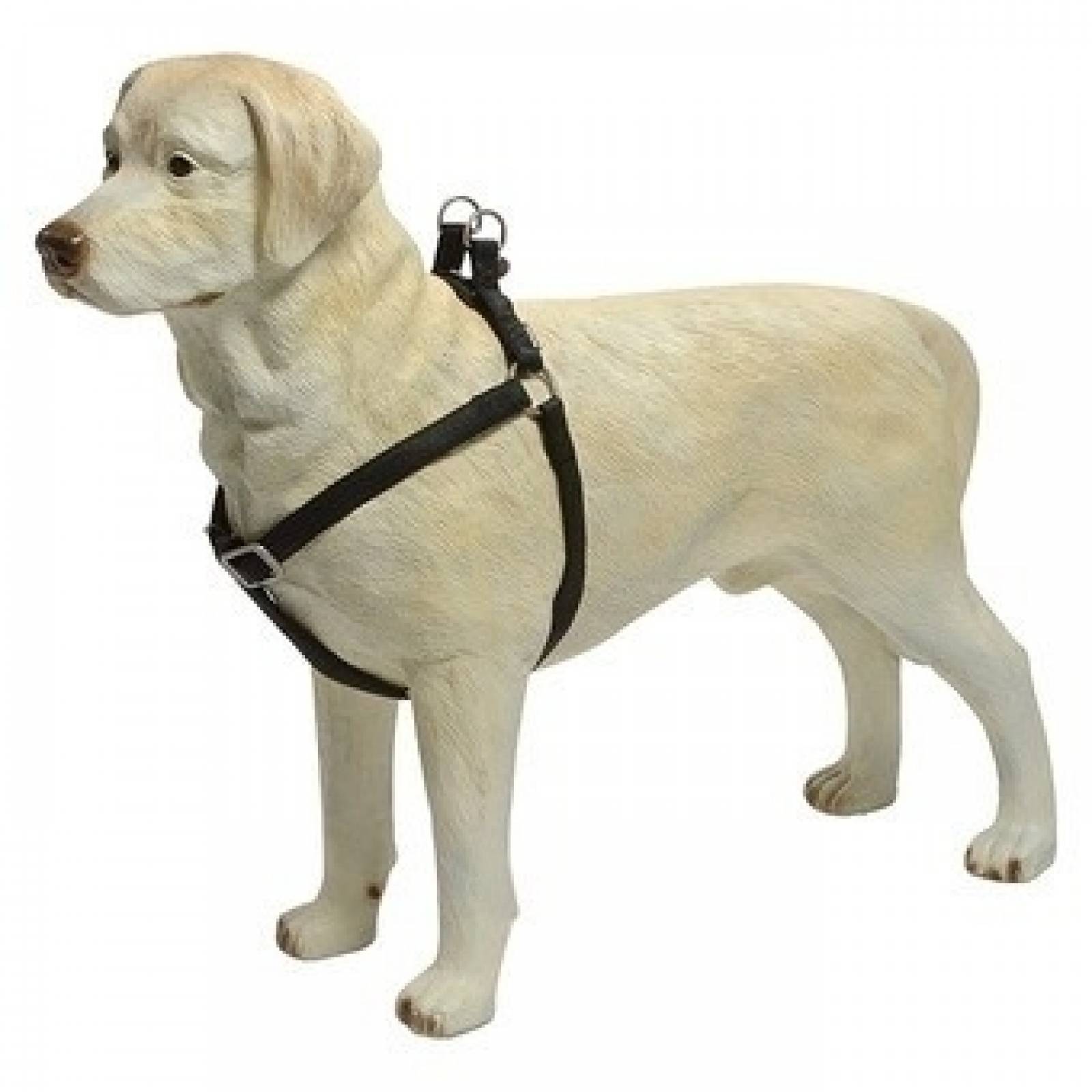 Arnes para Perro 15 mm y 25 / 40 cm OBI