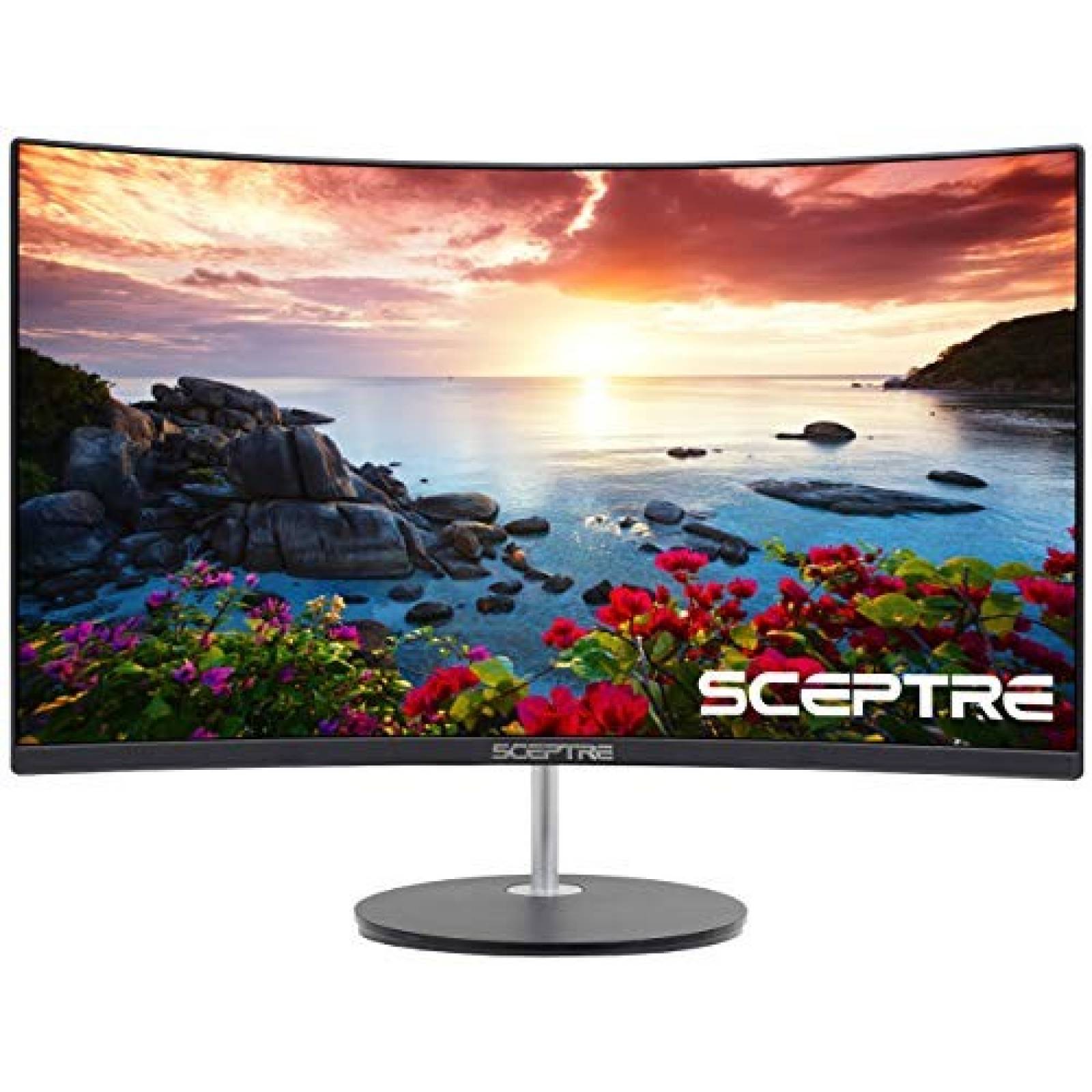 Monitor curvo 27" Sceptre C275W-1920RN LED HDMI VGA -Negro