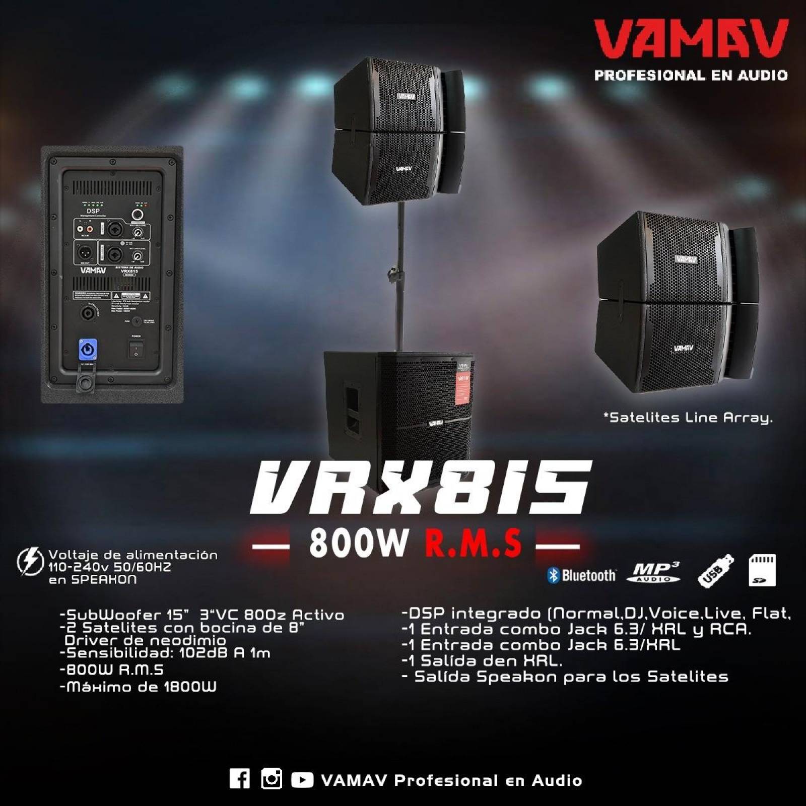 Sistema Audio Profesional Vamav Sub+Array