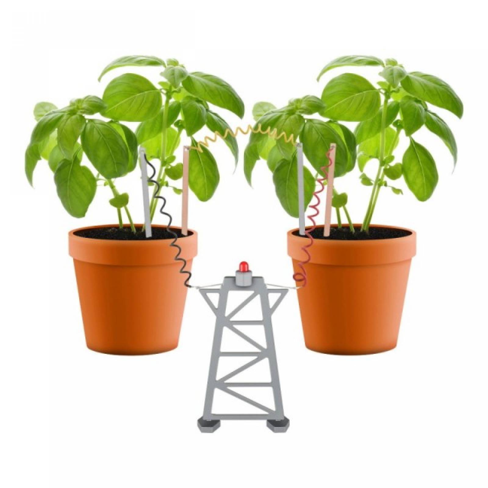 Kit Experimento Energia Verde Frutas Verduras LED Steren