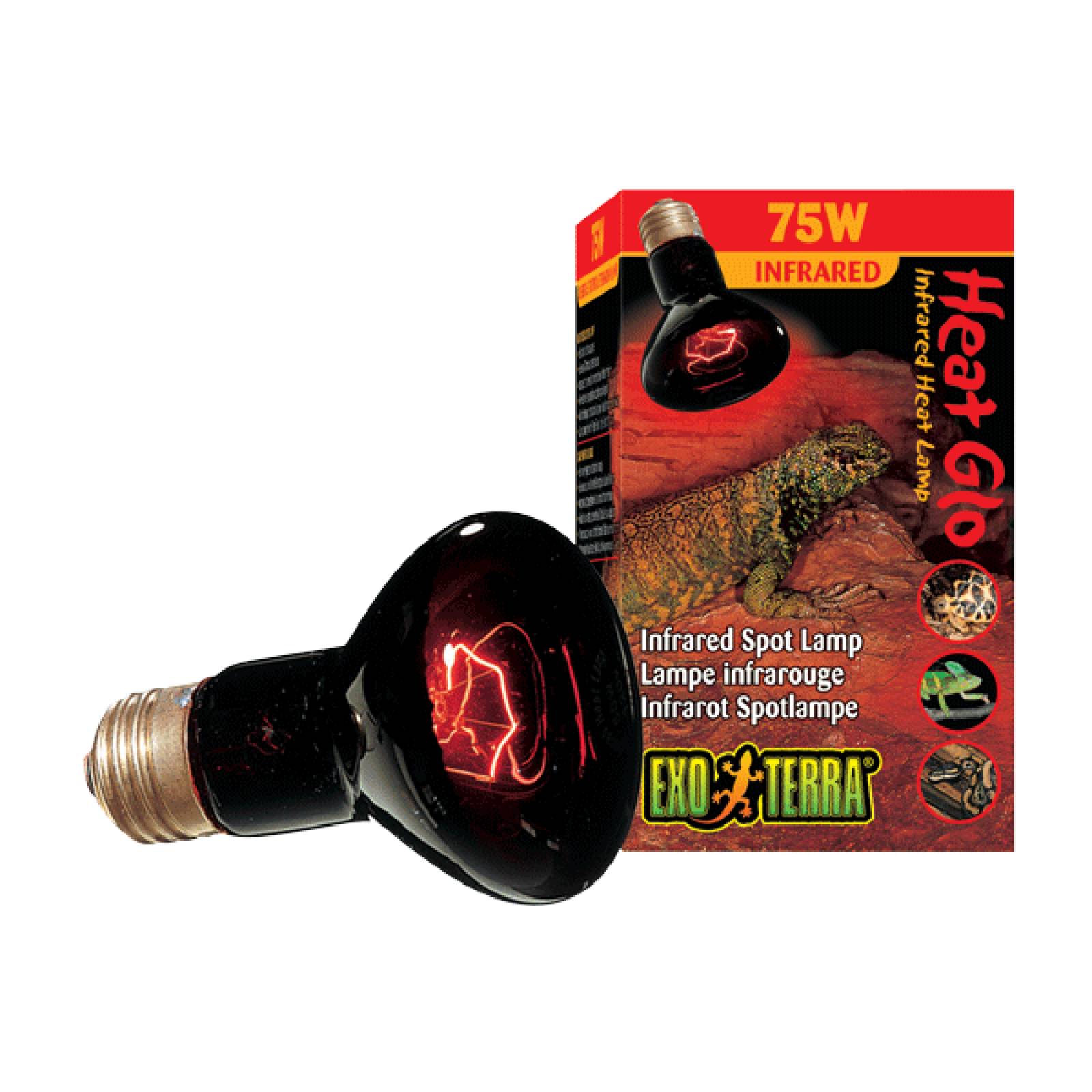 FOCO TERMICO INFRAROJO ANFIBIO REPTIL HEAT GLO 75W EXO TERRA