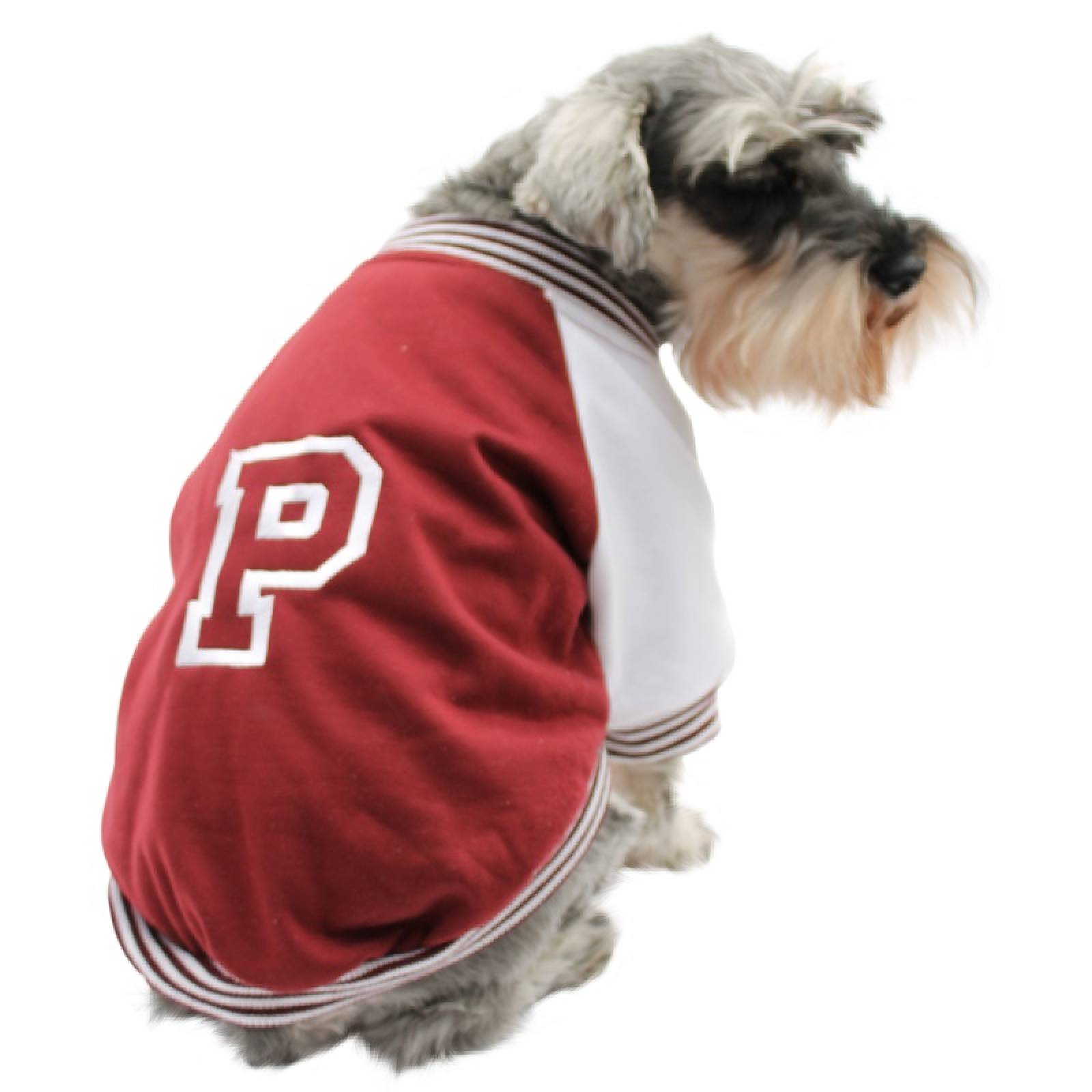 Chamarra Universitaria Perro Guinda Blanco Talla 8 Bordado Pet Pals