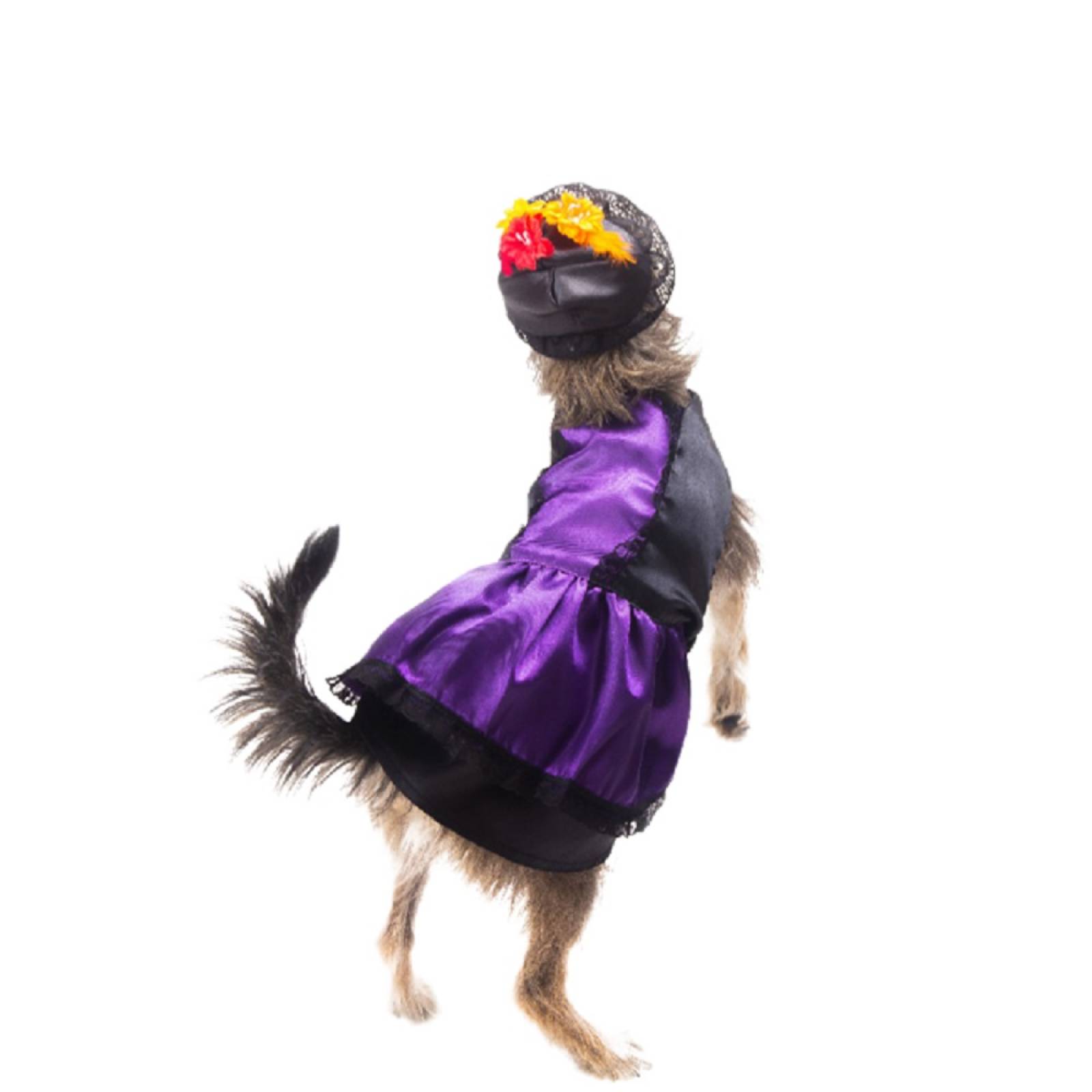 Disfraz Catrina P/Perro Talla 3 Color Morado/Negro Pet Pals