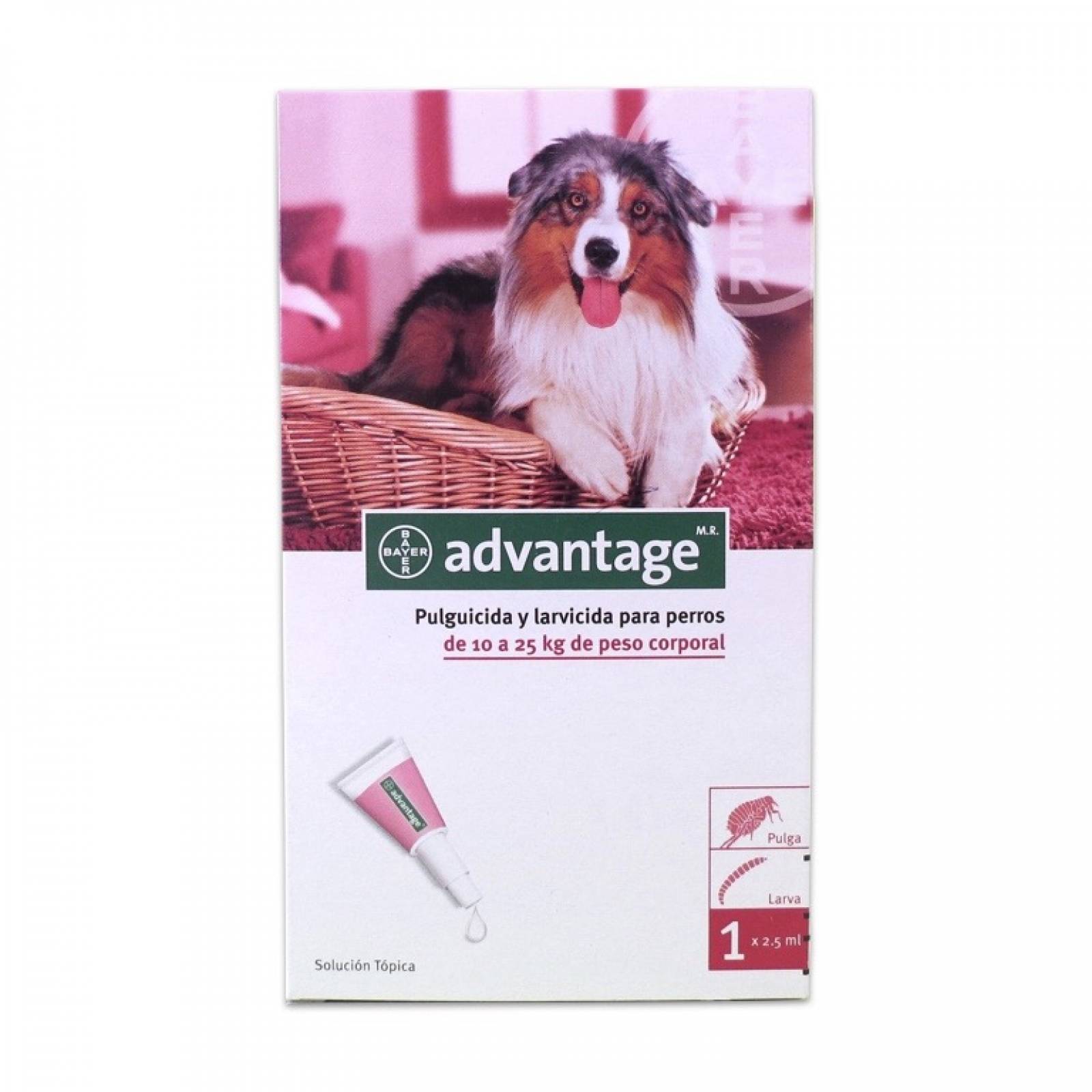BAYER ADVANTAGE Perro Grande 2.5ML