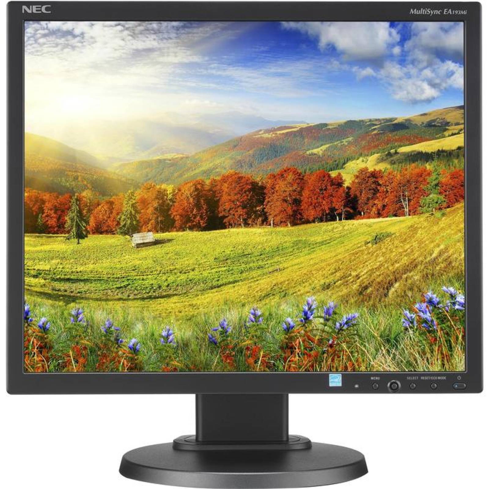 NEC Display MultiSync EA193MIBK Monitor LCD LED de 19 quot 5 4 6 ms