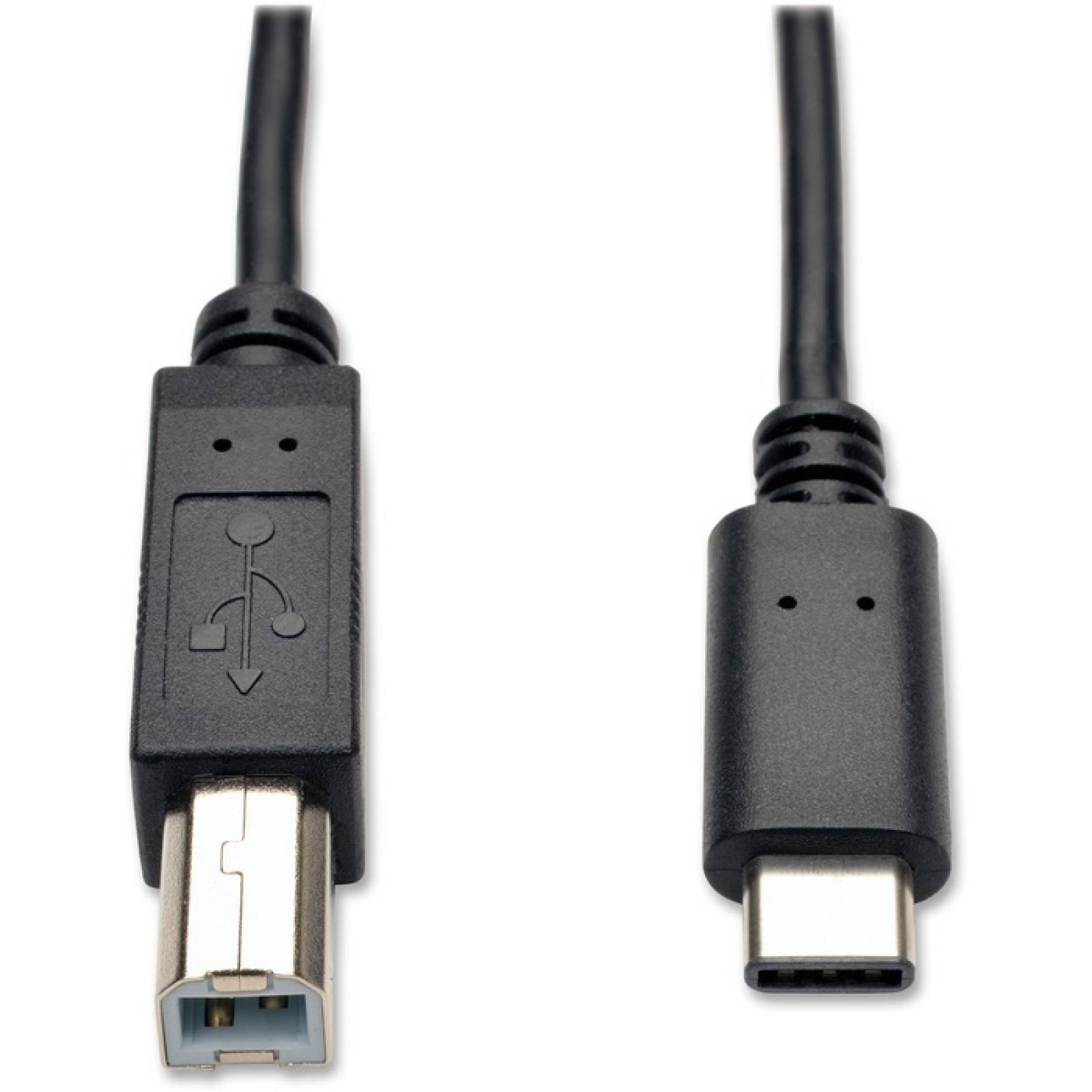 Tripp Lite 6 pies USB 20 Cable de alta velocidad B Macho a USB TipoC ...