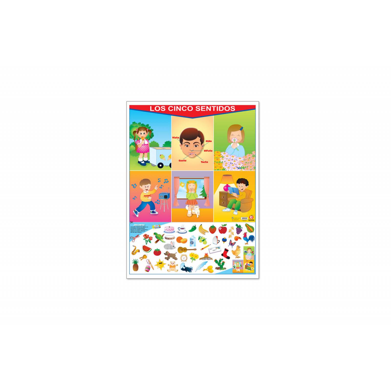 POSTER LOS CINCO SENTIDOS