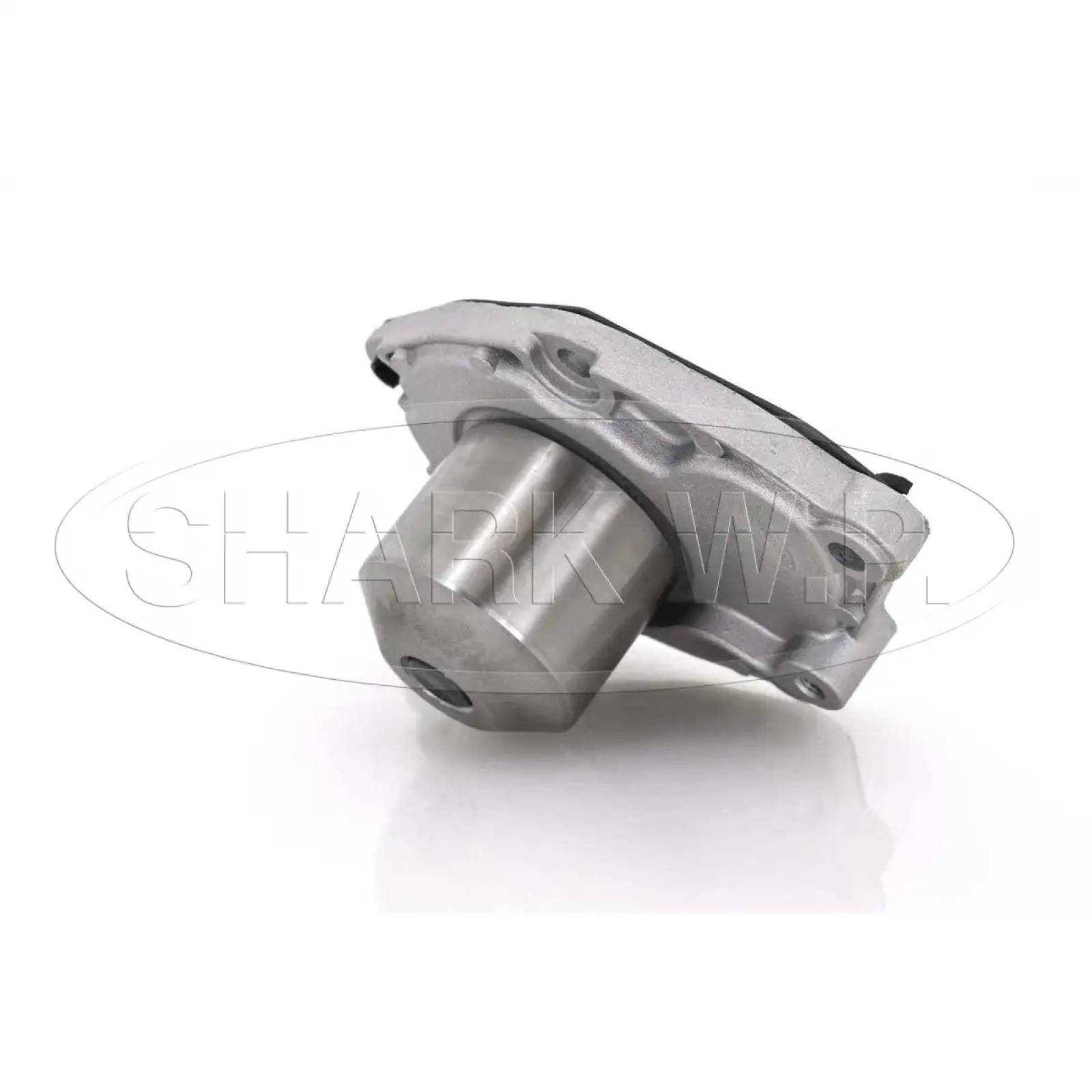 Bomba de Agua RENAULT MEGANE 2005 L4 2.0L