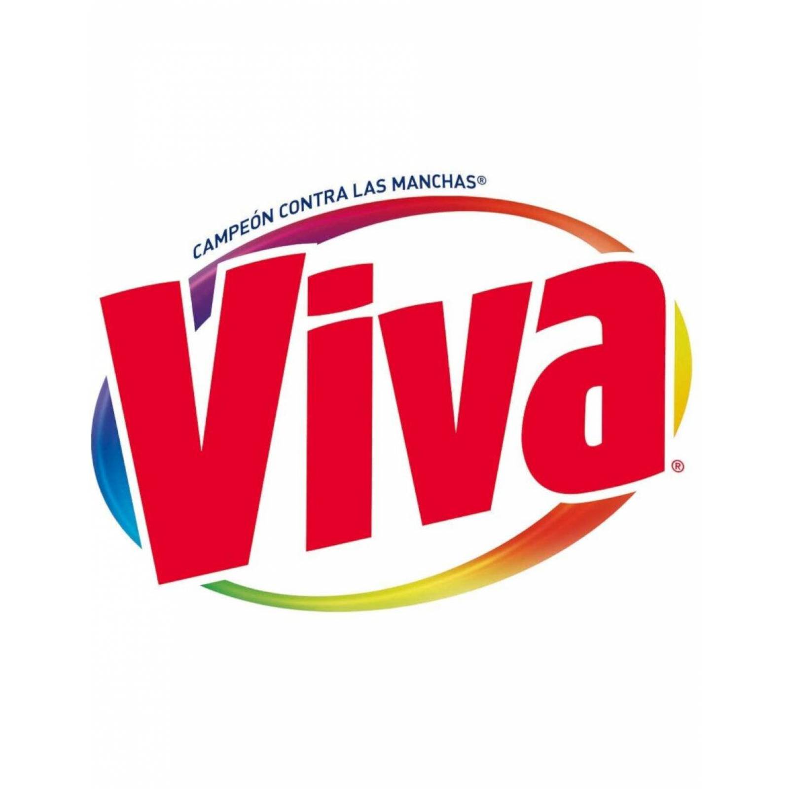 Pack de 4 Detergente en Polvo Viva Regular 4.5 Kg