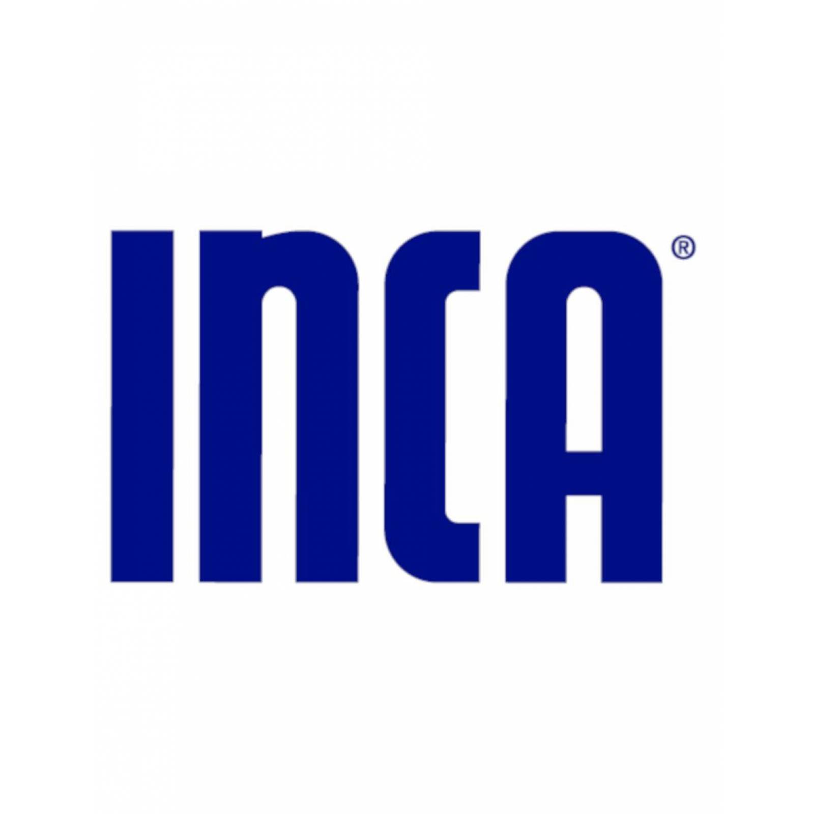 Pack de 24 Manteca Inca Vegetal 500 gr