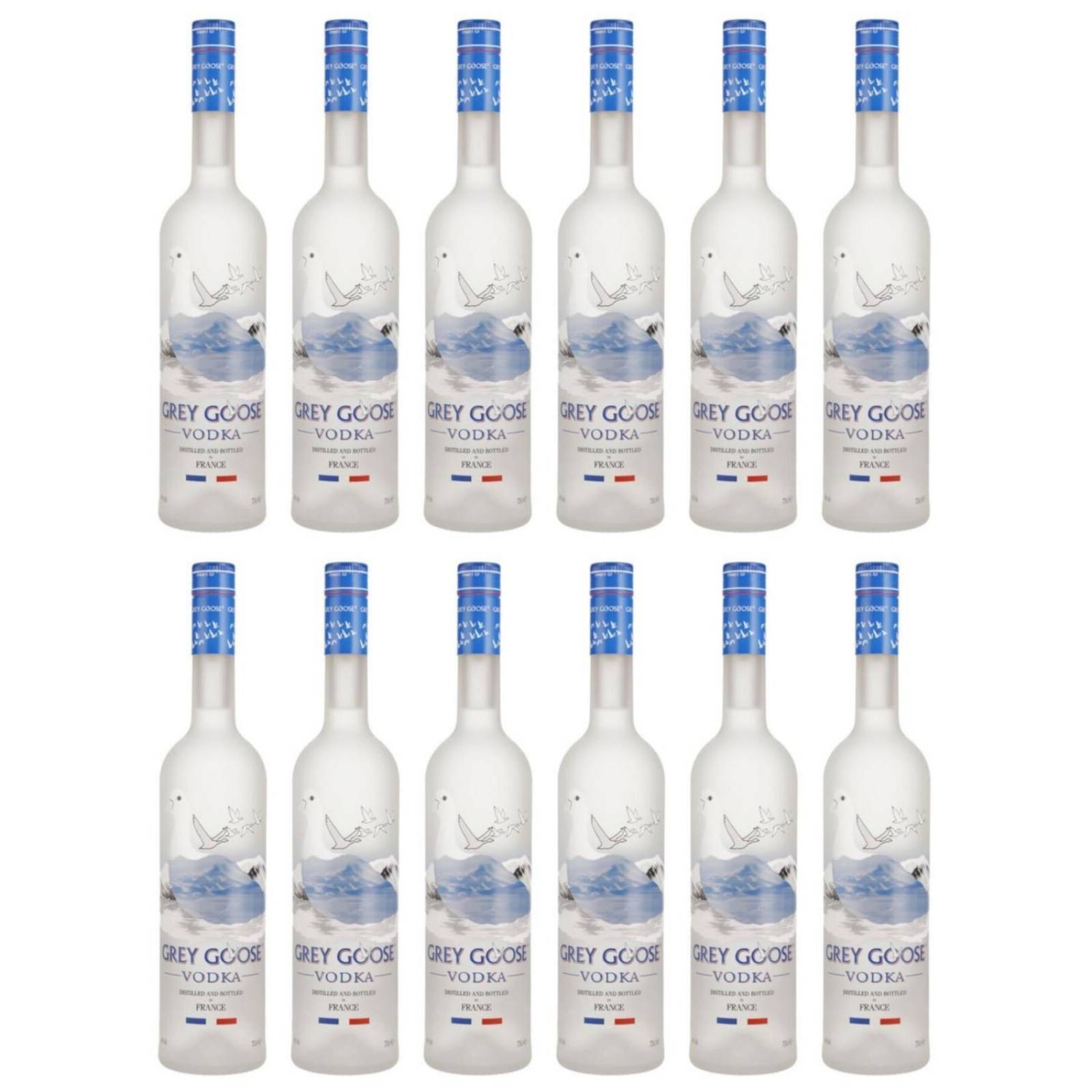 Pack de 12 Vodka Grey Goose Alpine 750 ml