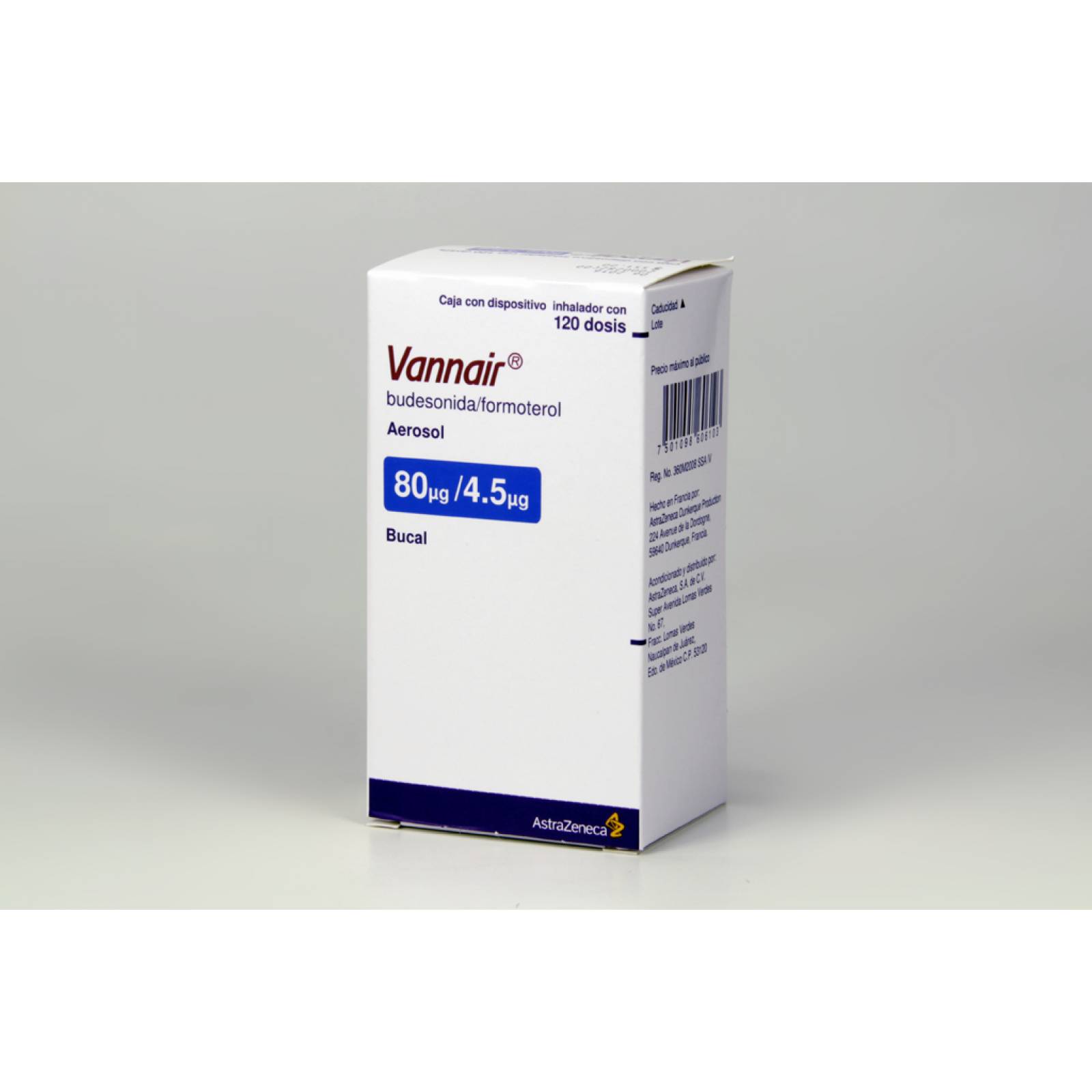 VANNAIR AEROSOL BUCAL 80/4.5UG 120 DOSIS