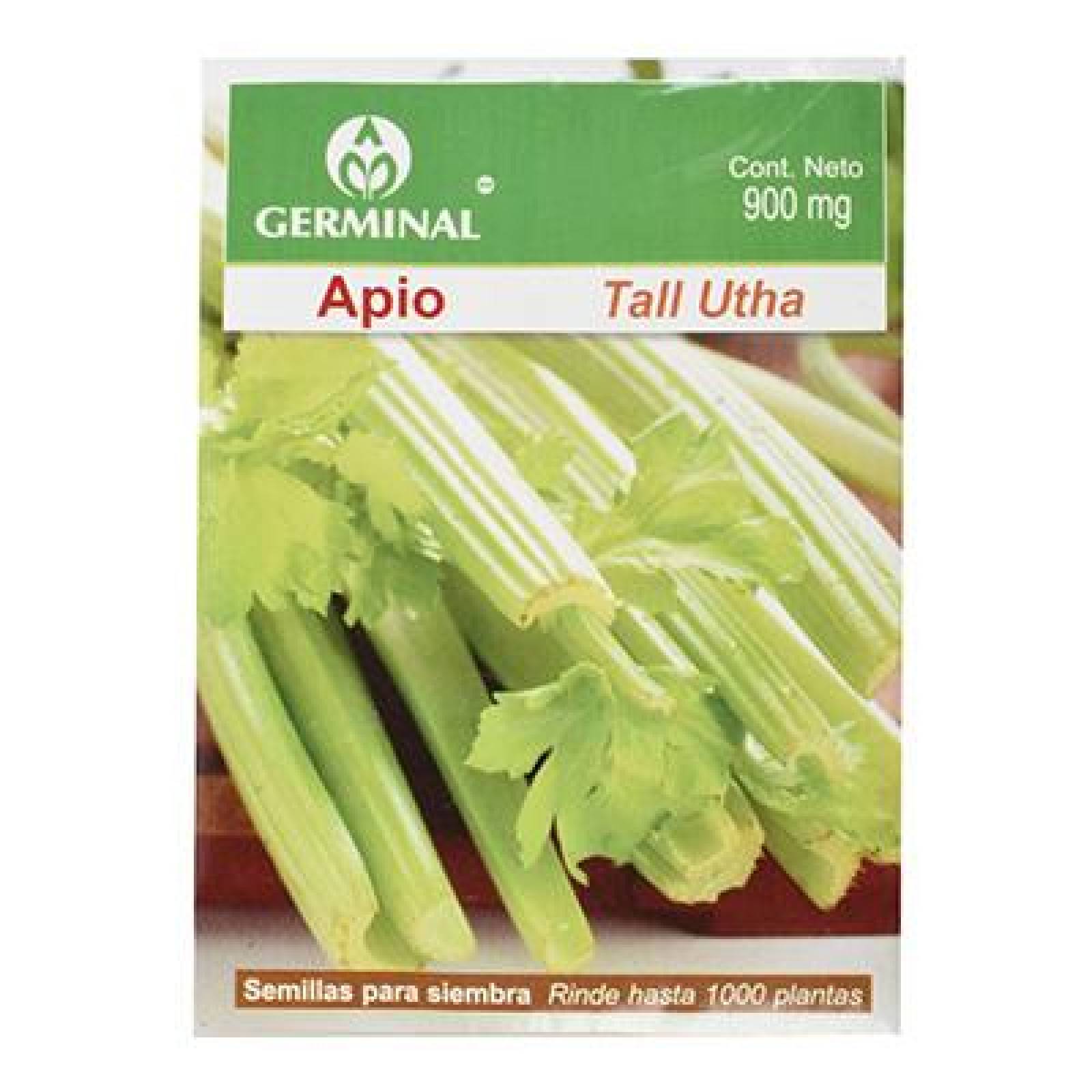 SEMILLAS DE APIO 900 MR GERMINAL
