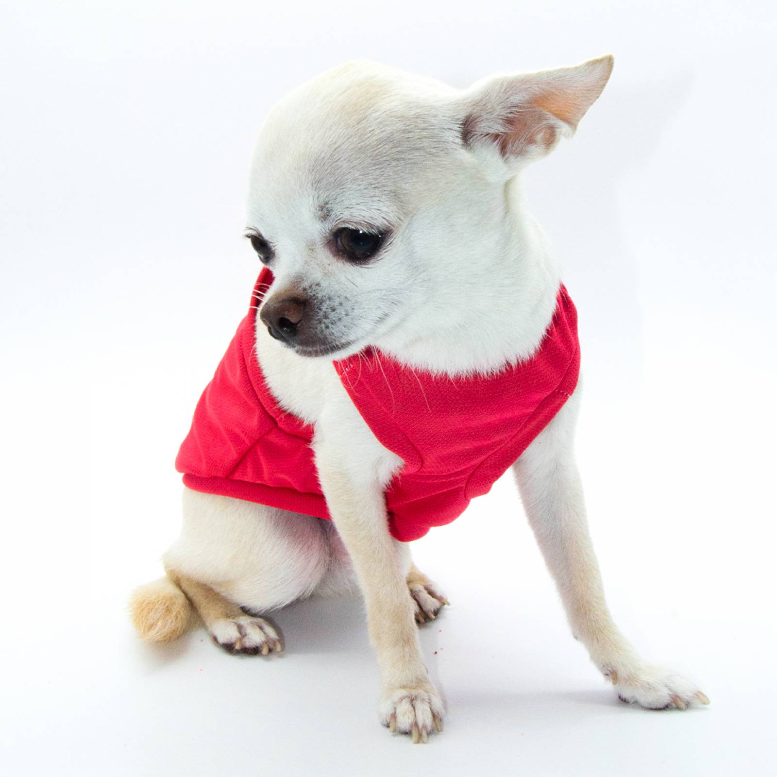 Playera Sport Pink para Perros de la Marca Mascotti