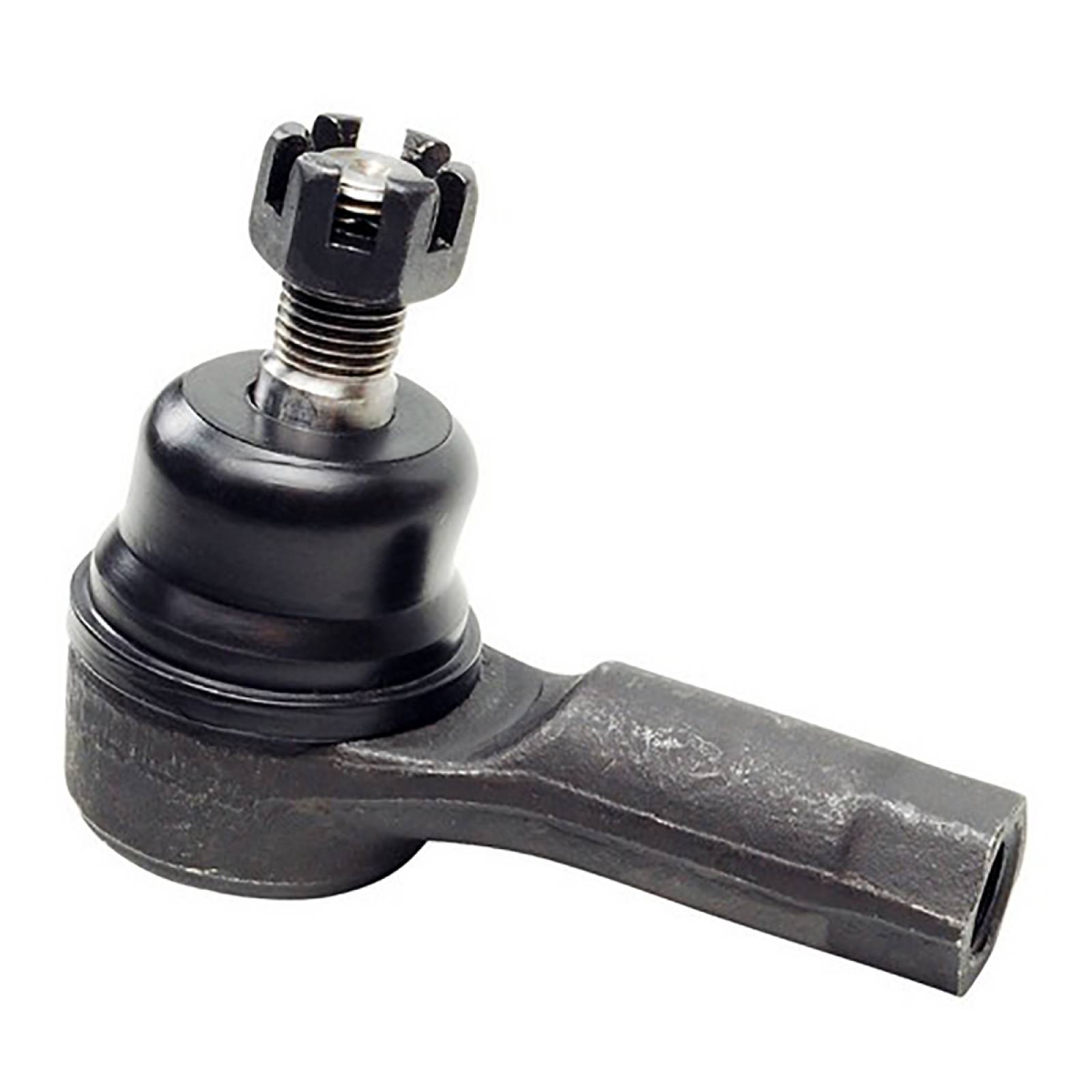 Terminal Festiva Protege Exterior