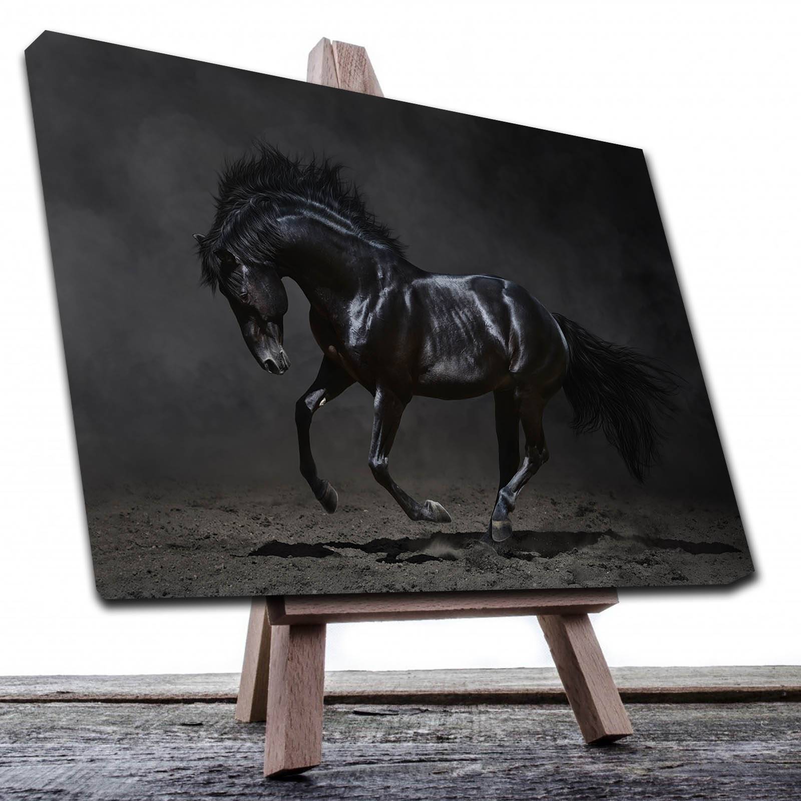 Cuadro Decorativo Canvas Paisaje Caballo Negro de 120 X 60 cm.