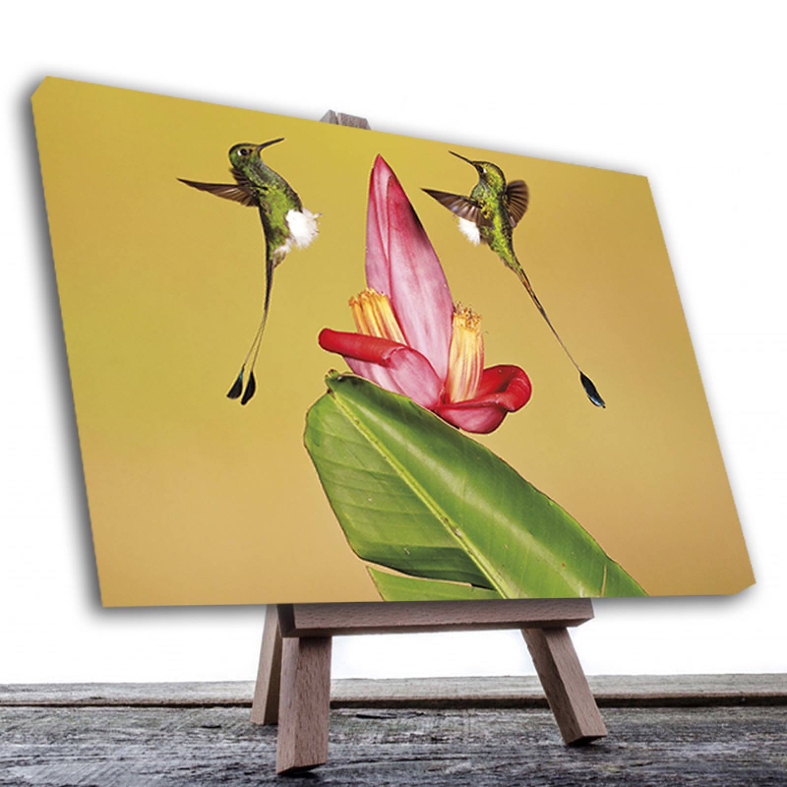 Cuadro Decorativo Canvas Ave Colibrí 90 X 60 cm #11.