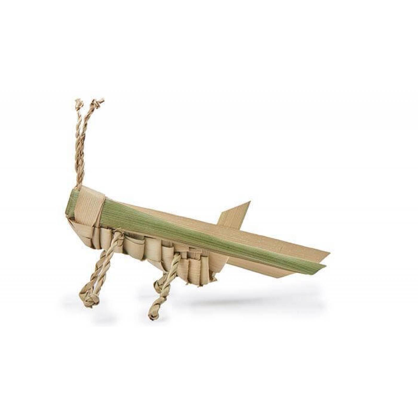 CHAPULIN GRANDE PALMA