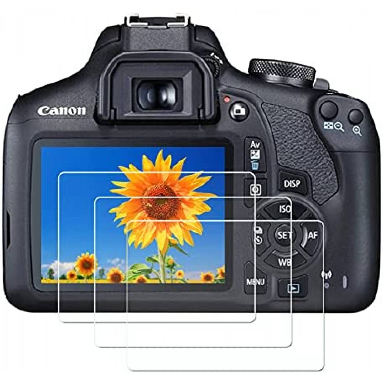 Protector Pantalla ZLMC Cama Canon Rebel Vidrio Templado