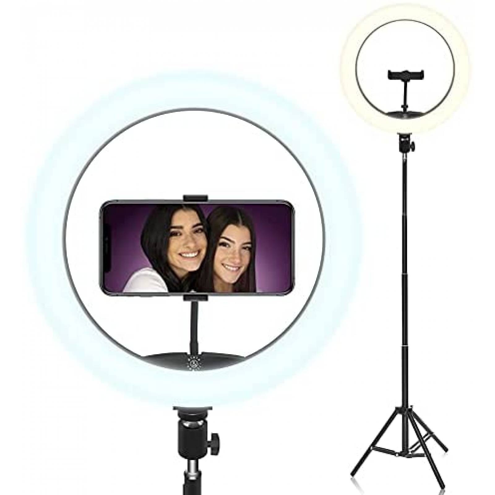 Anillo de luz Dixie & Charli LED de 12 pulgadas con soporte