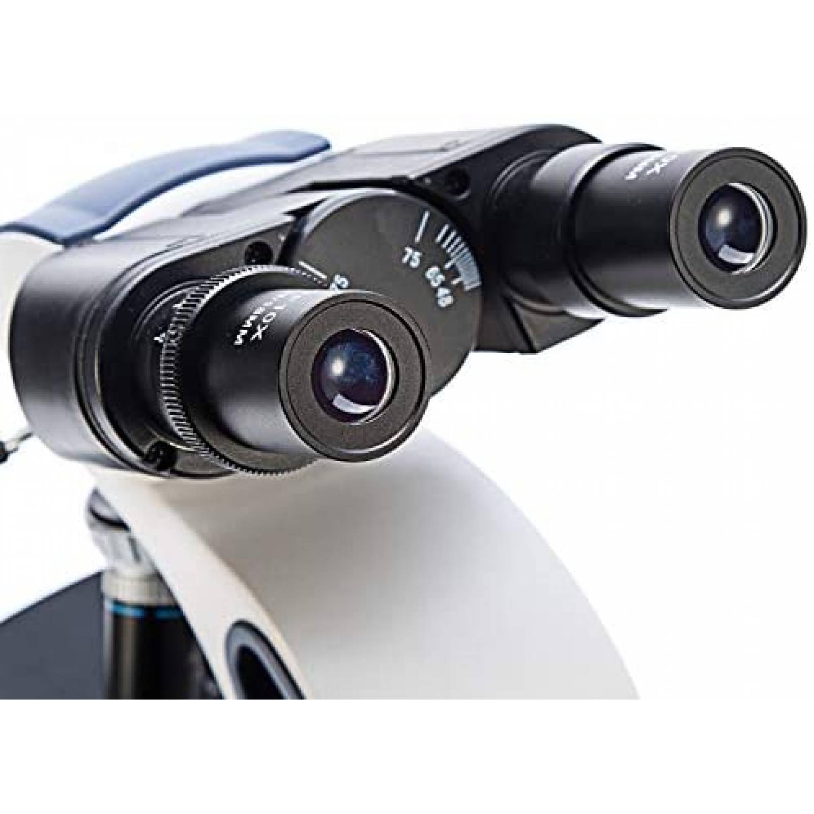 Microscopio Swift SW380B 40X-2500X Binocular