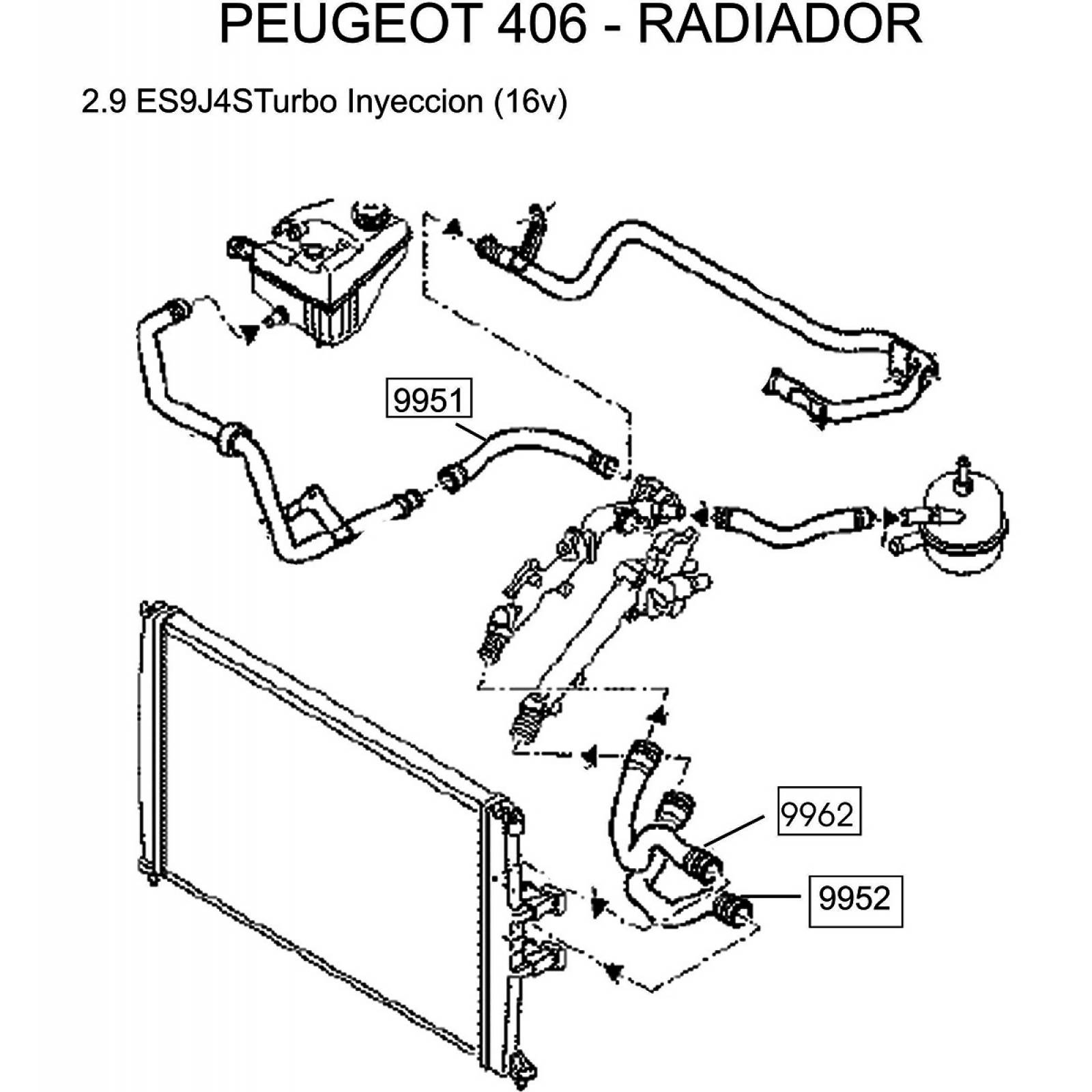 Manguera Radiador Peugeot 406 2001-2005 3.0 Inferior