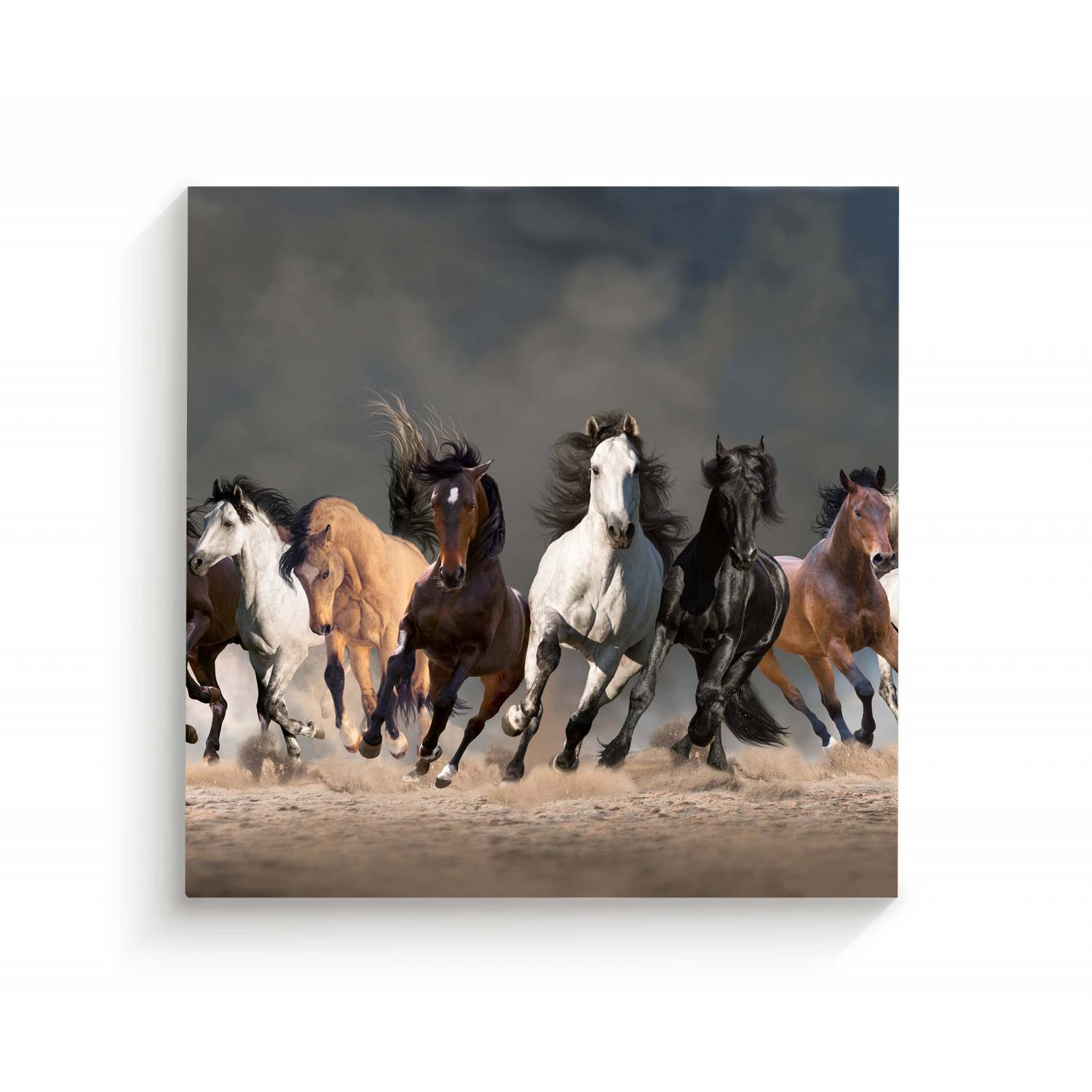 Cuadro Decorativo Canvas Manada de caballos 30x30