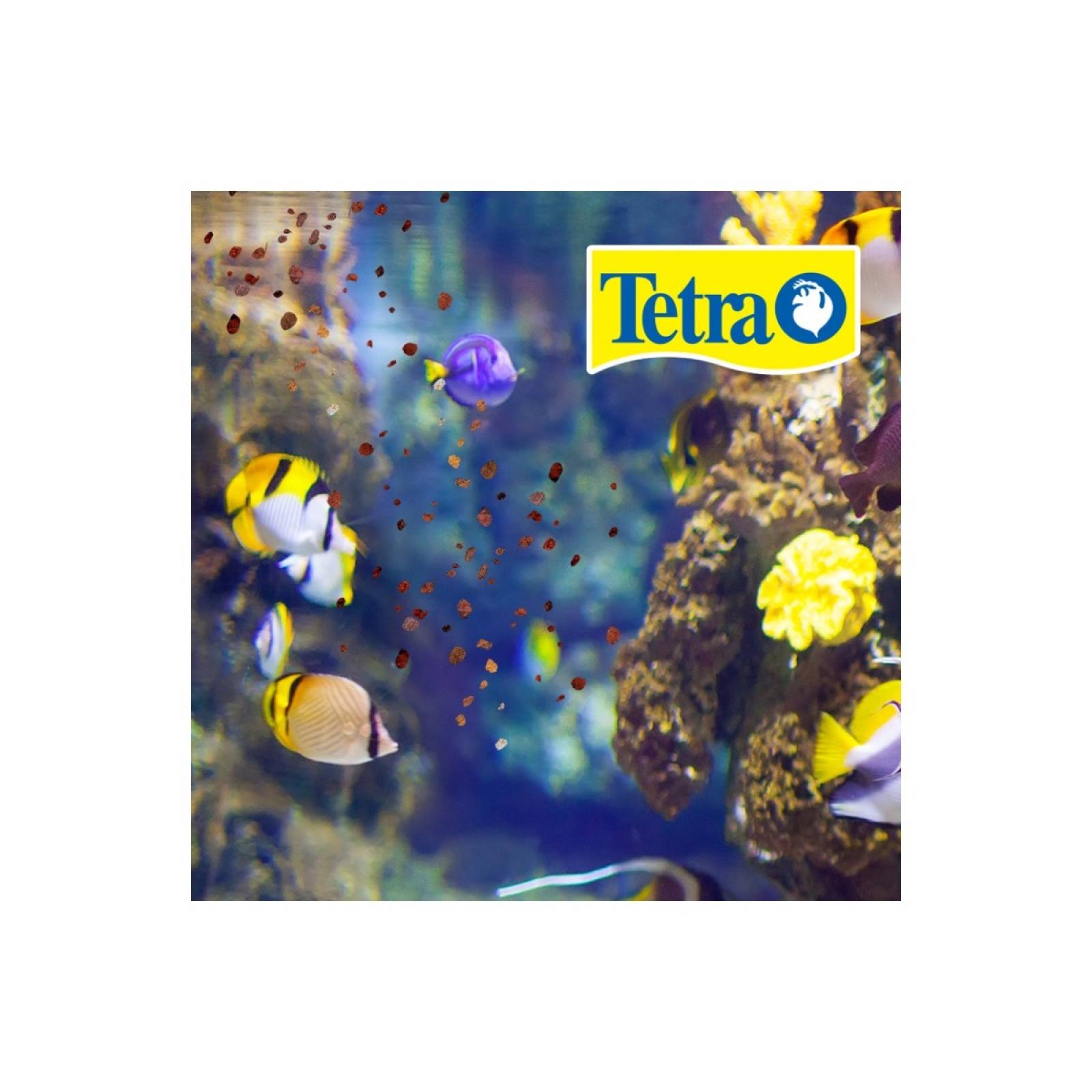Tetra tetracolor tropical granulos 75 gr