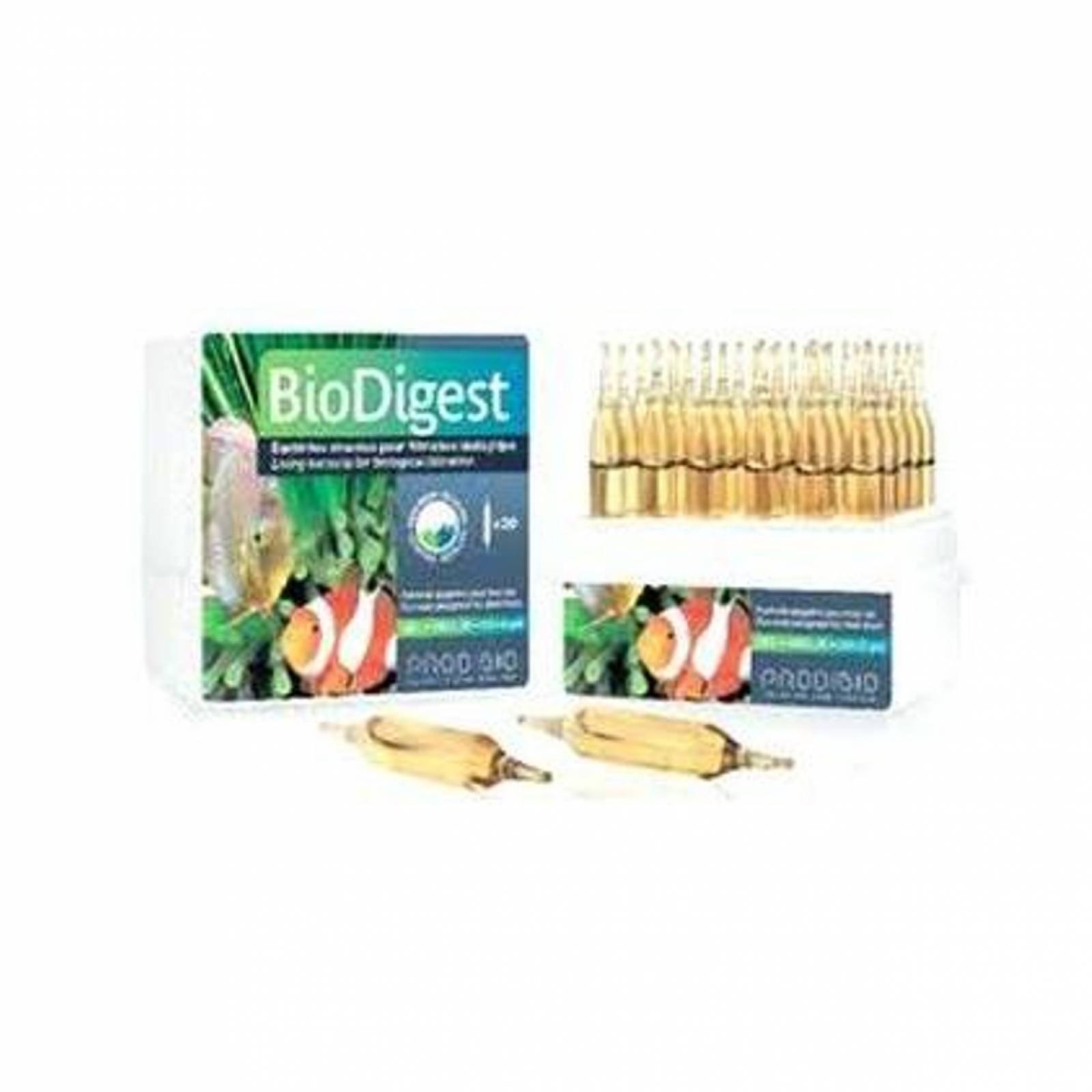 Bacteria prodibio biodigest ampolletas 10 ampolletas