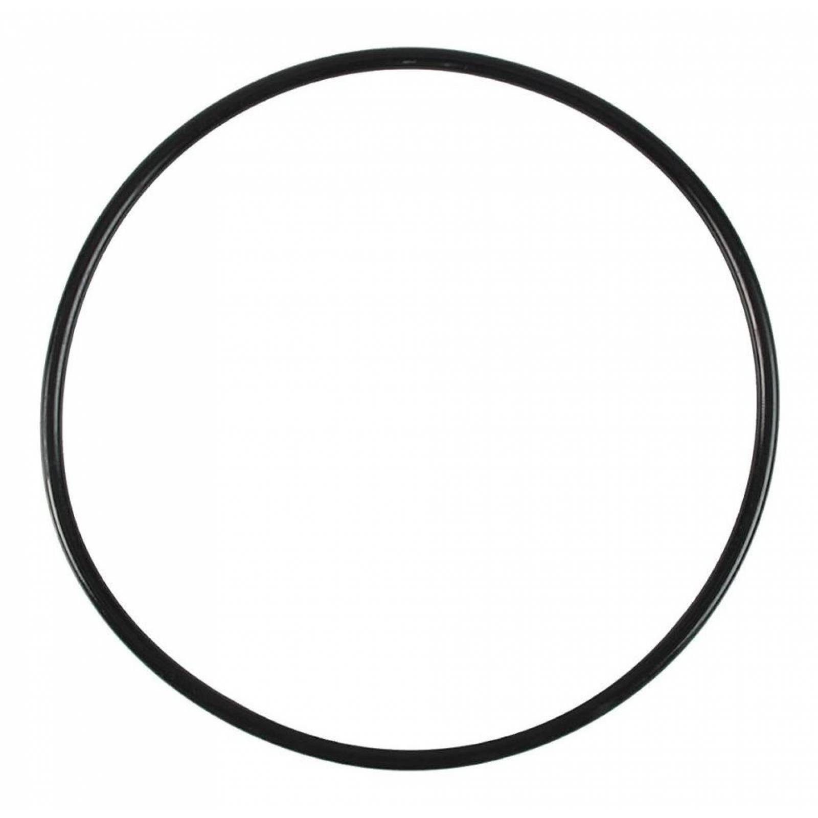Repuesto Fluval Empaque Circular Motor Fluval 307 407 a20064