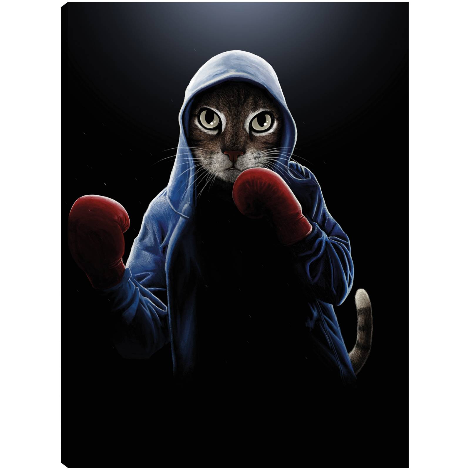 Cuadro Decorativo Gato fresco del boxeo