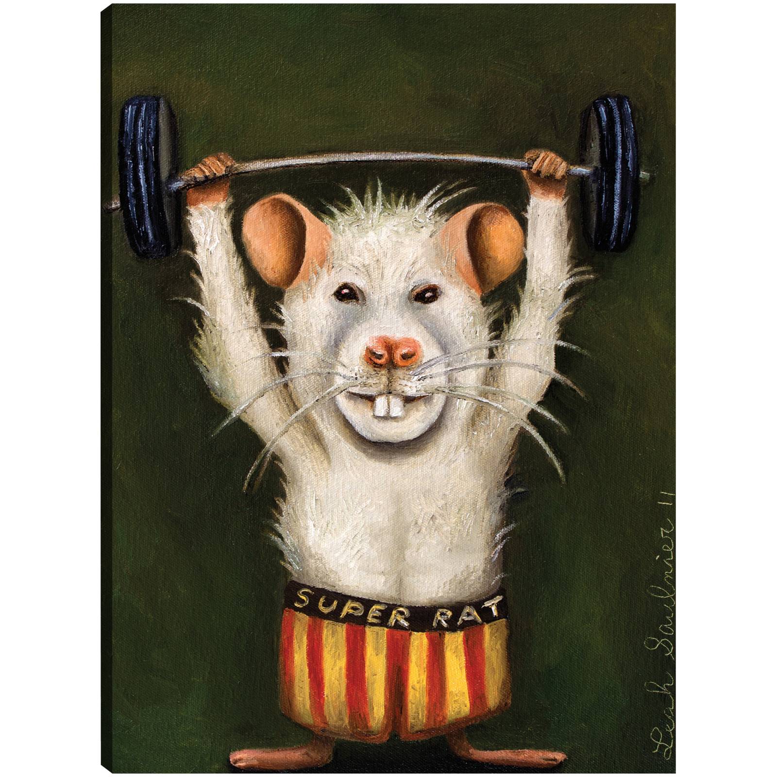 Cuadro Decorativo Super rata