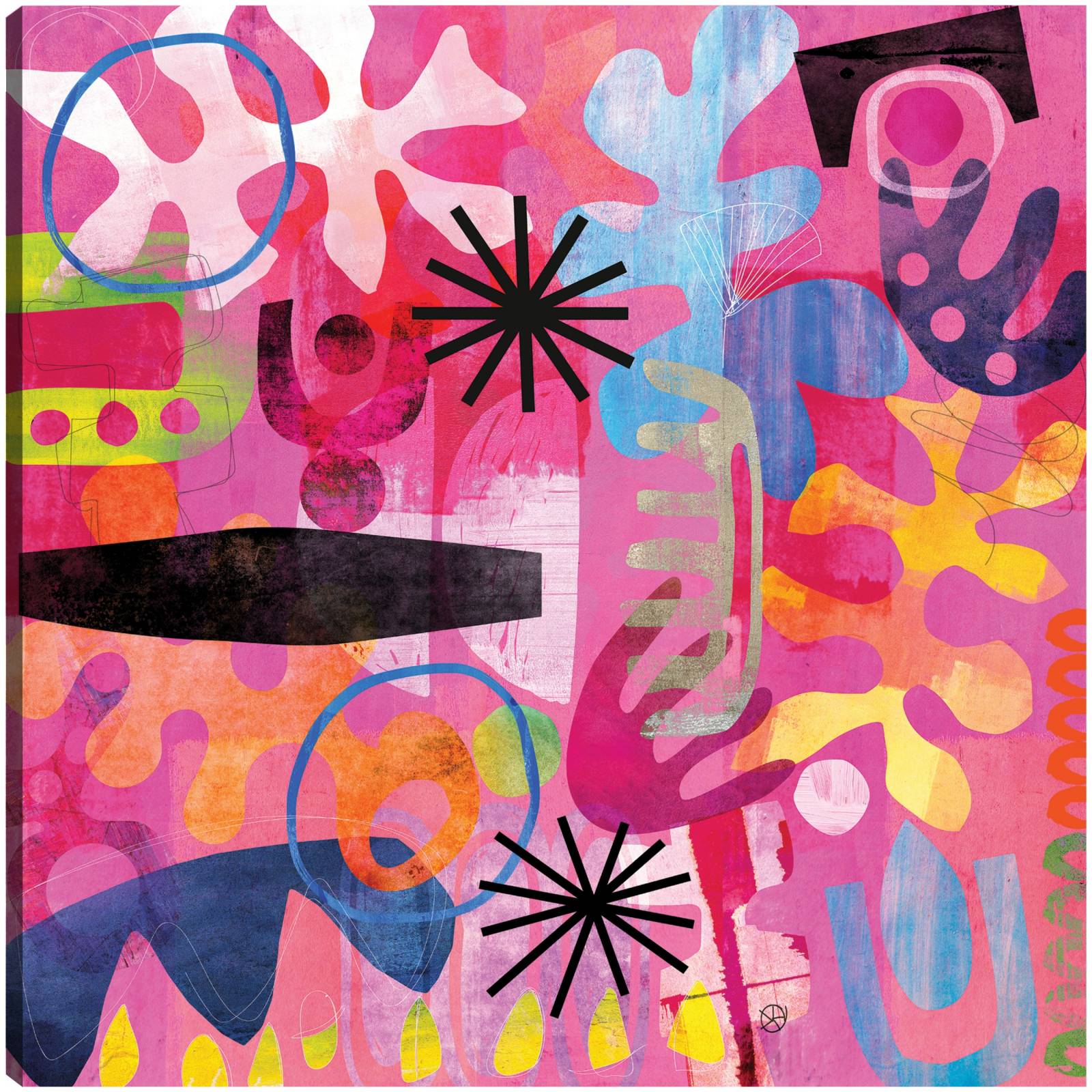 cuadro decorativo - rosa acra