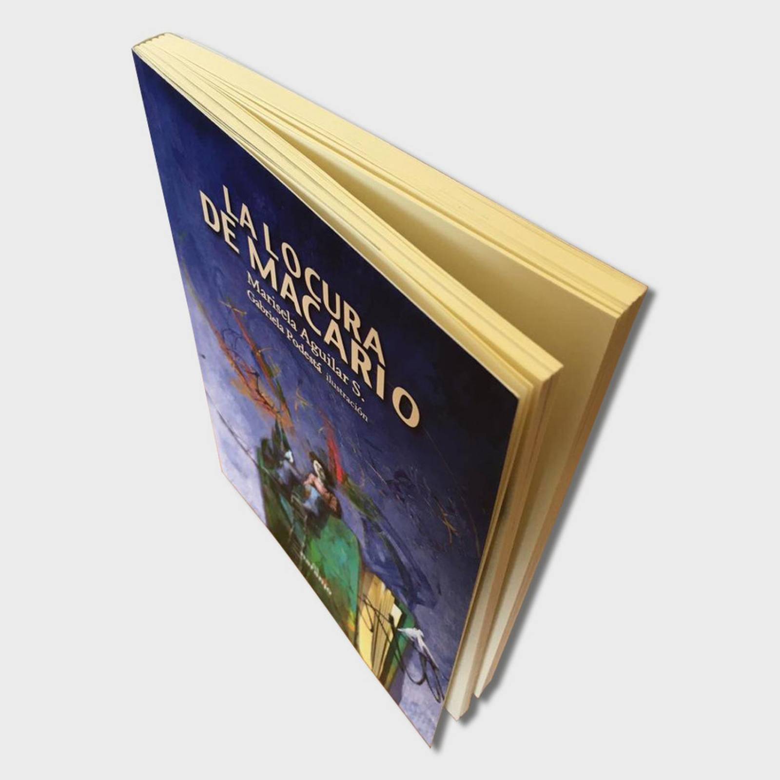 Libro La locura de Macario Libros juveniles Cuentos Niños