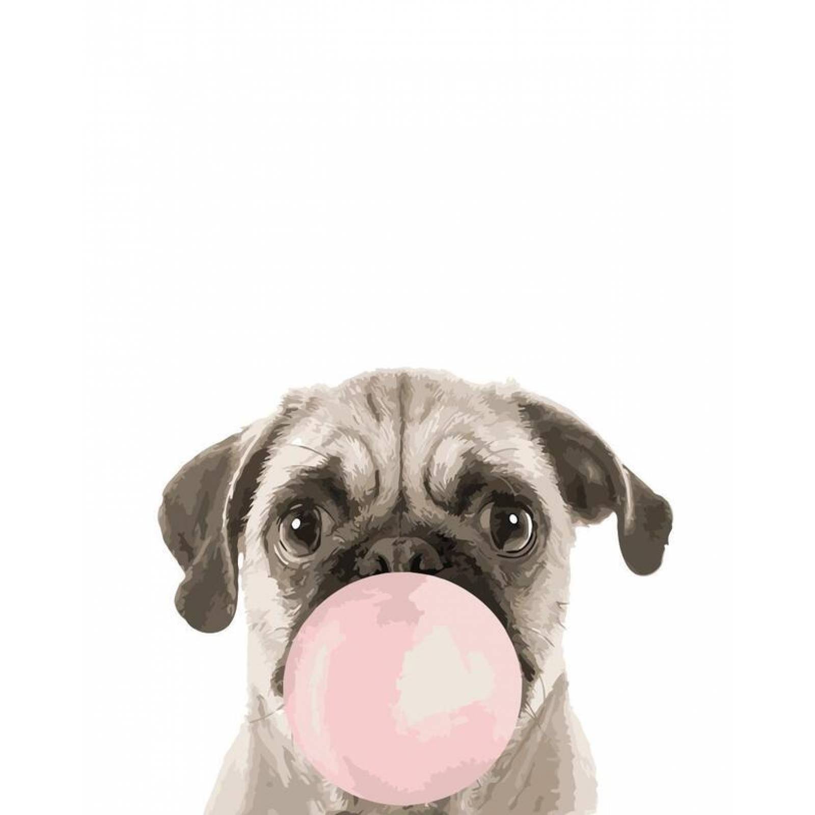 Perro Chicle Pinta por numero con bastidor incluido