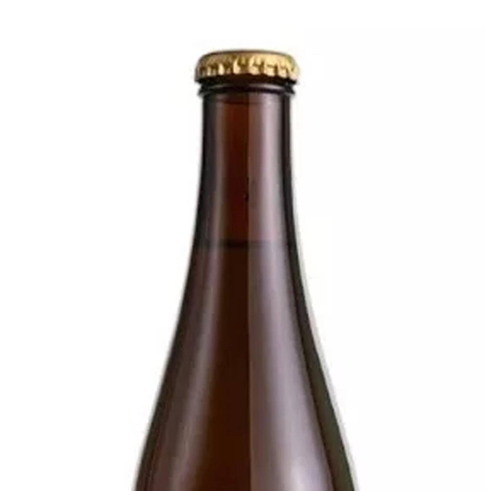 Pack de 24 Ginger Beer Birra Wild 355 ml