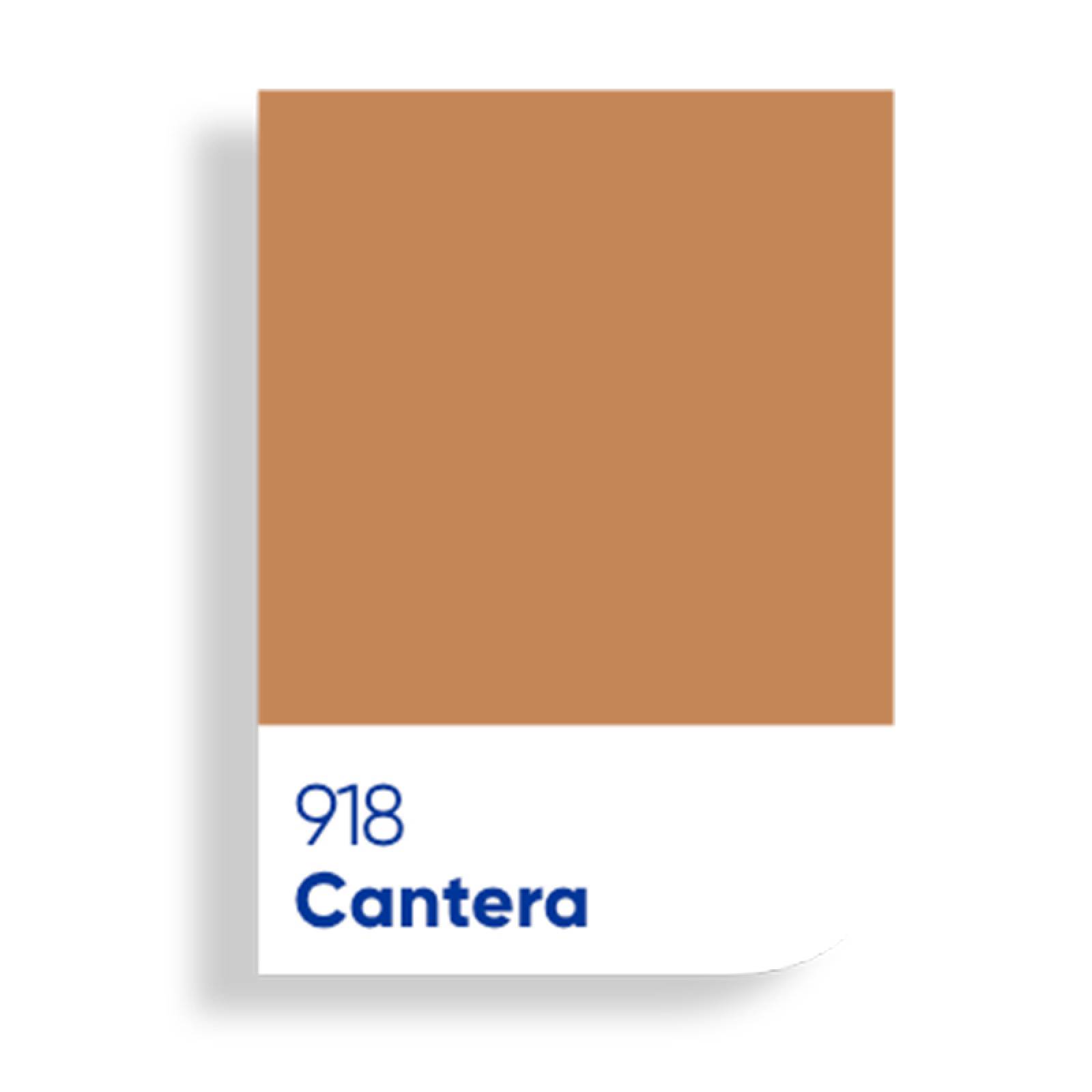 Pintura Vinílica Lavable Acuario Acua Cover 3 Años 19 Litros Cantera