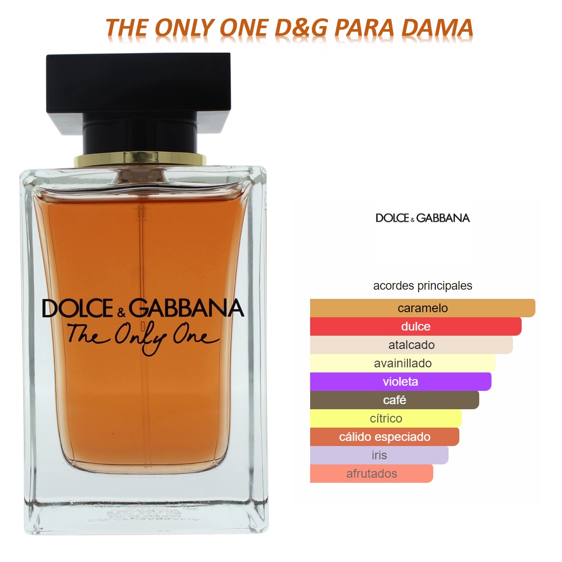 The Only One de Dolce&Gabbana Perfume para Dama