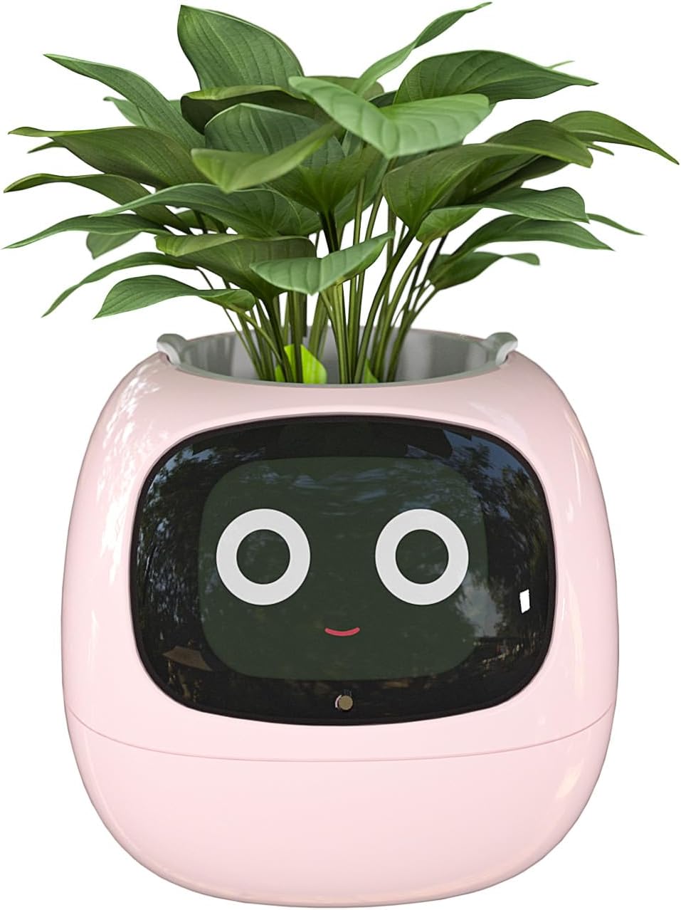 Maceta Robot Con Inteligencia Artificial Plant Ivy Rosa