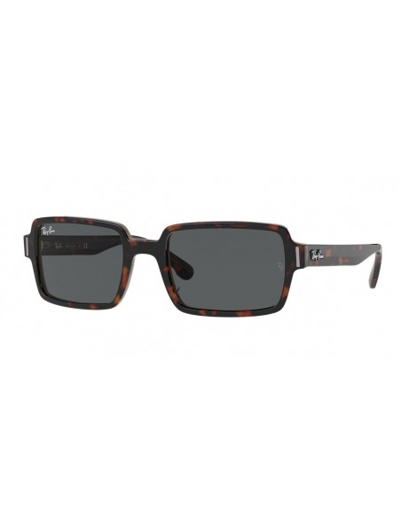Lentes de sol Ray-Ban RB2189 1292B1 Benji
