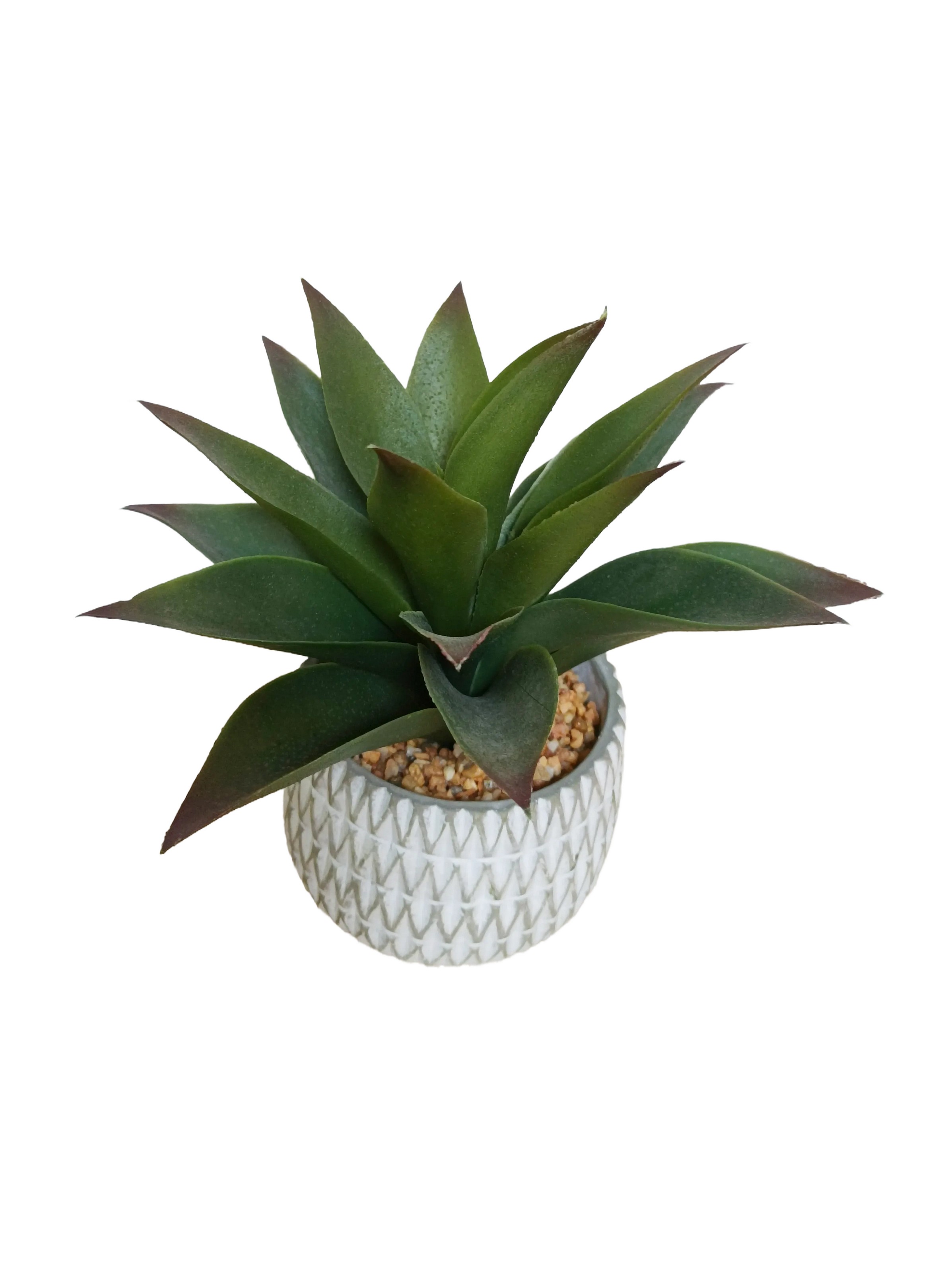 Planta Decorativa Agave Verde con Maceta de Cerámica Blanca